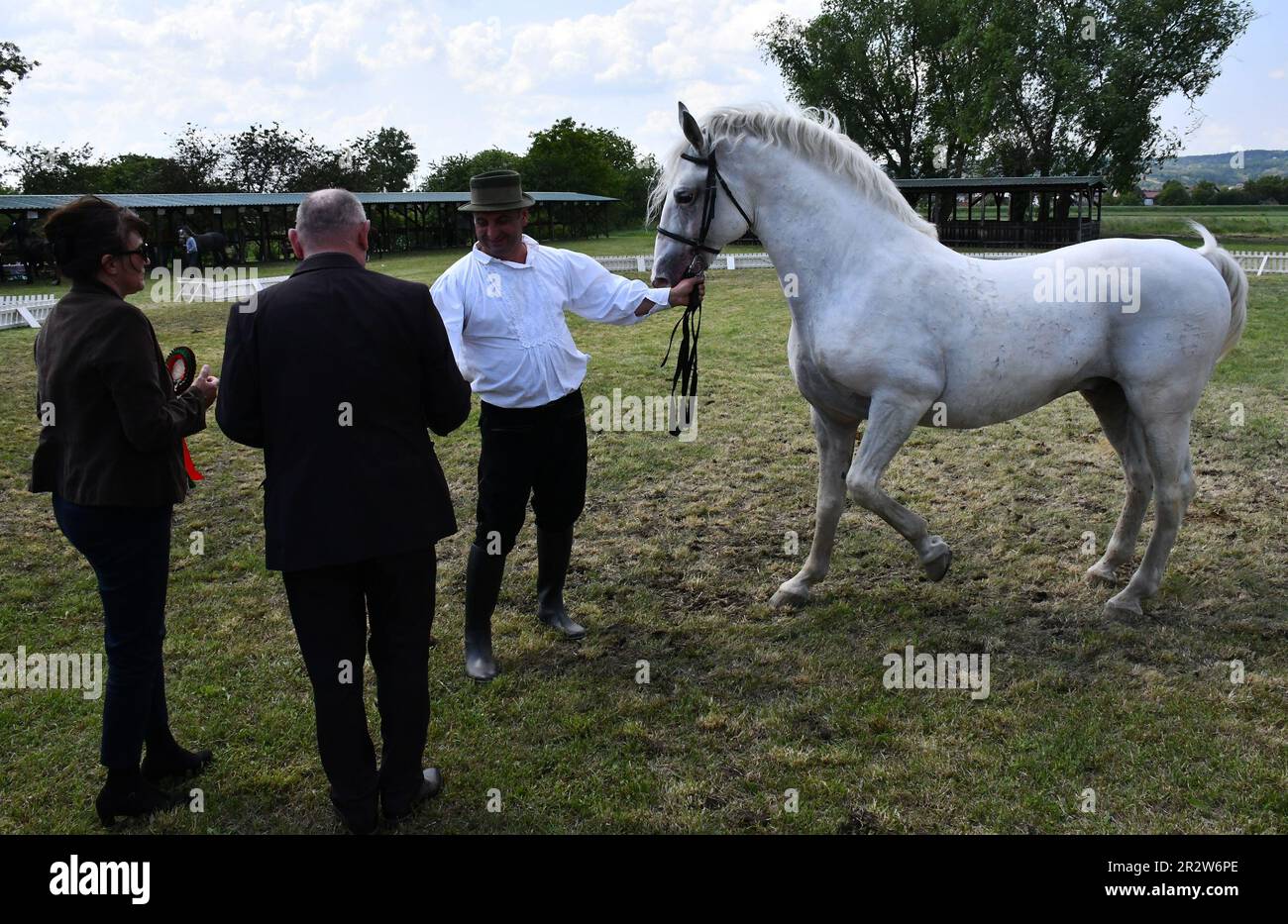 623 konversano zenta hi-res stock photography and images - Alamy