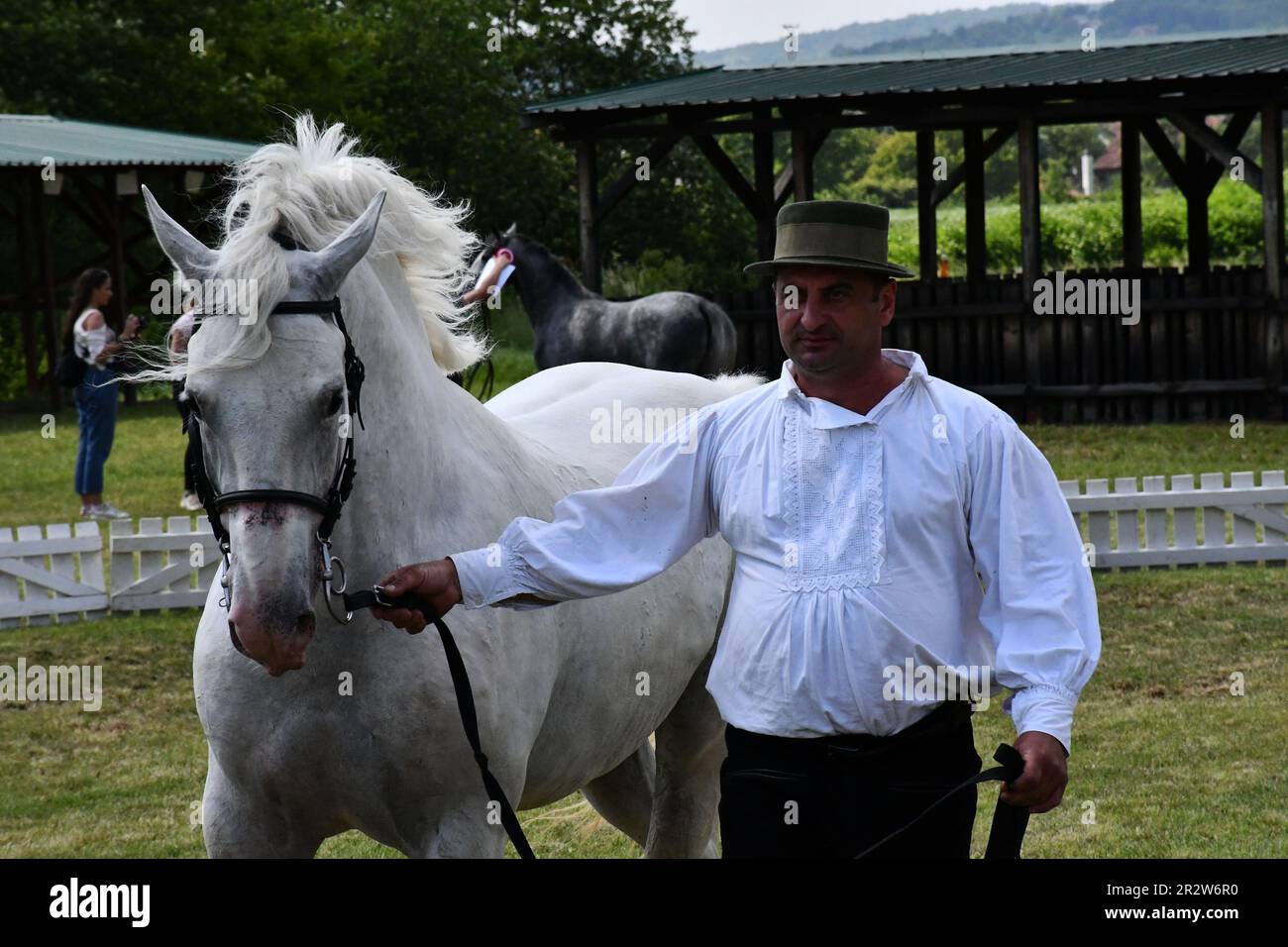 623 konversano zenta hi-res stock photography and images - Alamy
