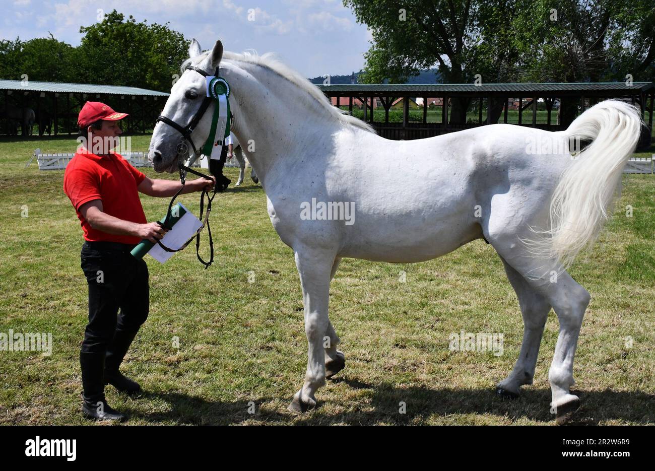 623 konversano zenta hi-res stock photography and images - Alamy