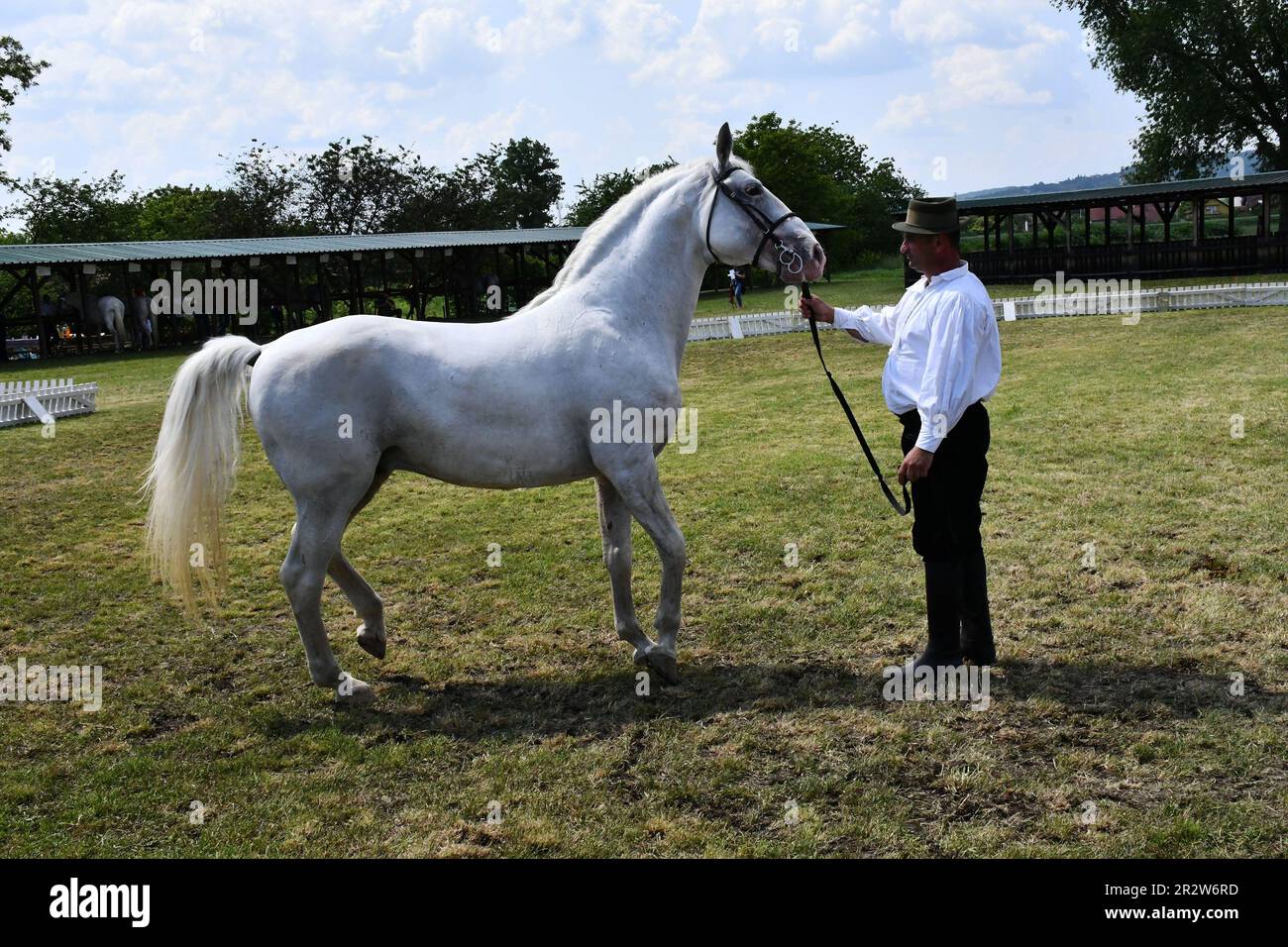 623 konversano zenta hi-res stock photography and images - Alamy