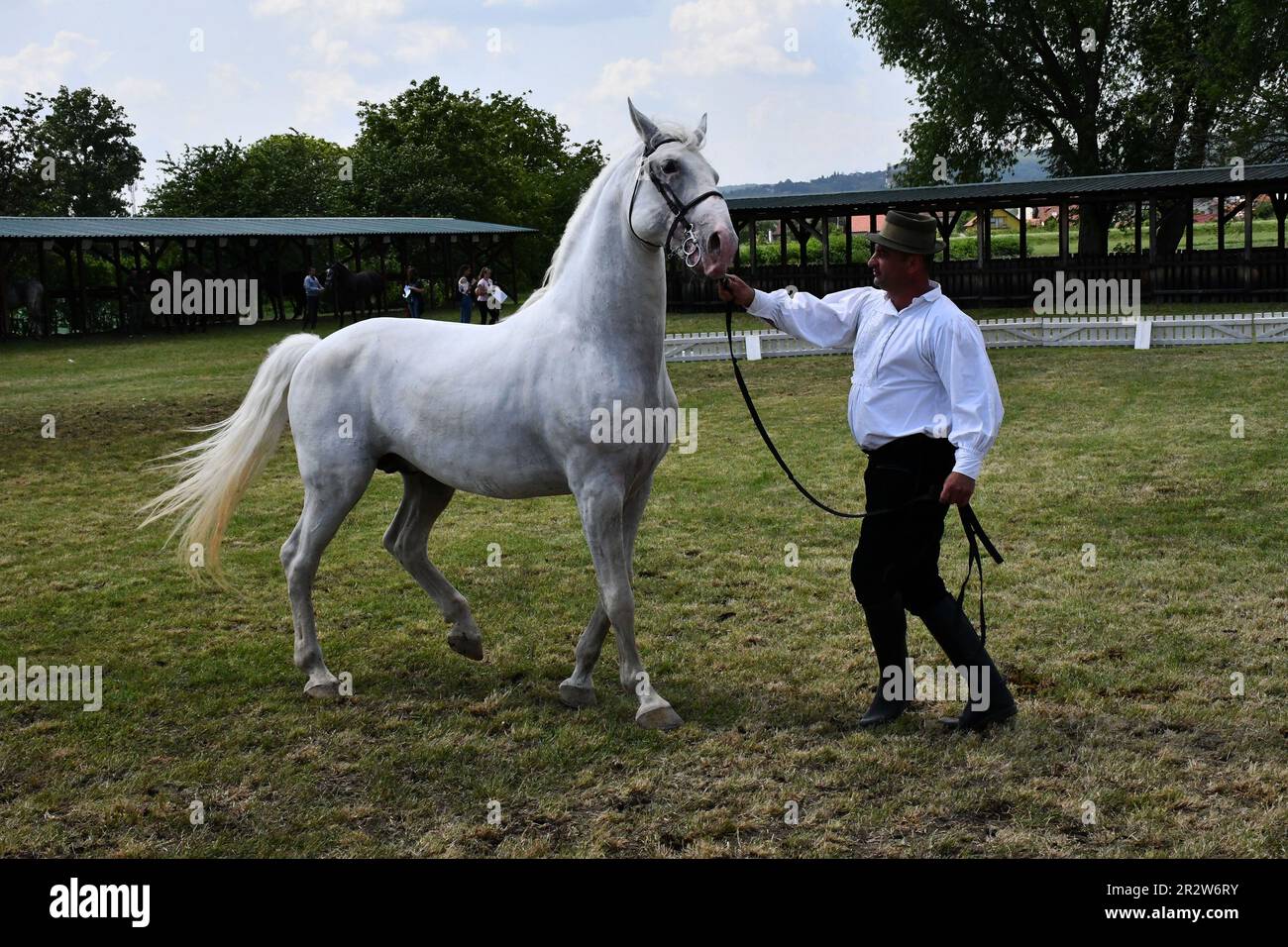 623 konversano zenta hi-res stock photography and images - Alamy