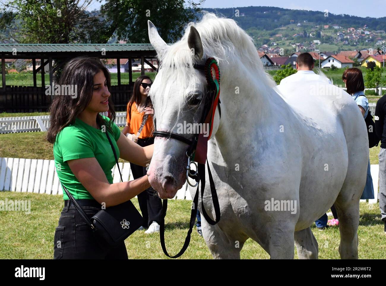 623 konversano zenta hi-res stock photography and images - Alamy
