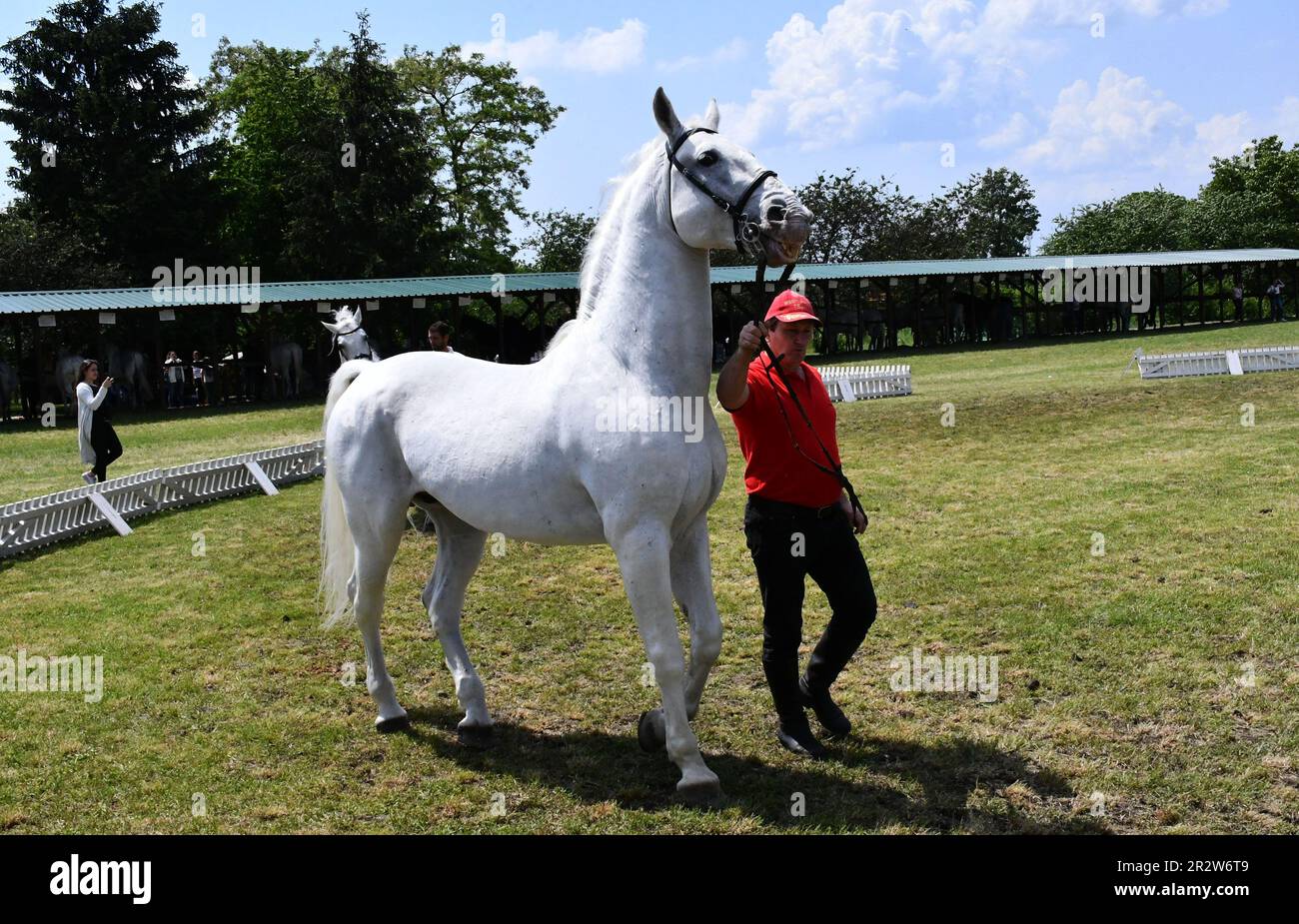 623 konversano zenta hi-res stock photography and images - Alamy