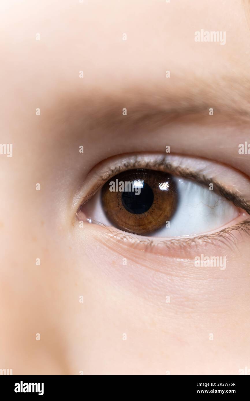 Macro brown eye of a 5-year-old kid. Pediatric ophthalmology Stock ...