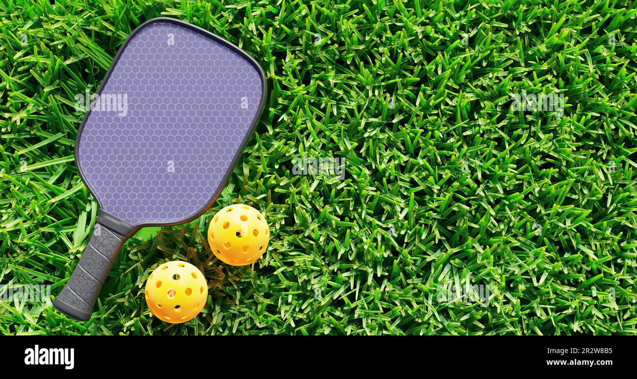 Pickleball. One racket two balls on green grass.3d rendering Stock ...