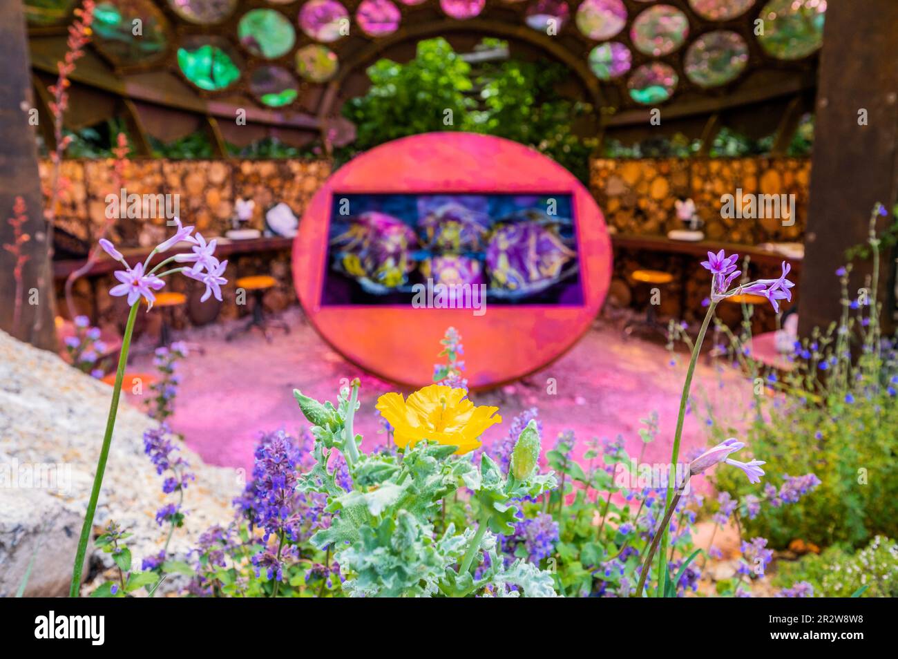 London, UK. 21st May, 2023. The Royal Entomological Society Garden ...