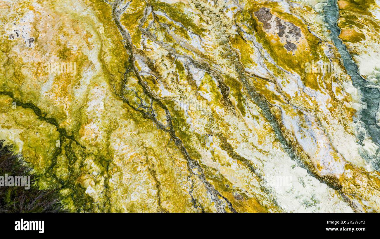 Geothermal landscape with hot boiling sulphur river and springs due to ...