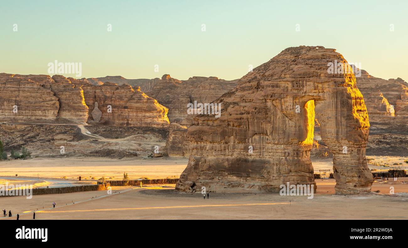 Sandstone elephant rock erosion monolith standing in the desert, Al Ula ...
