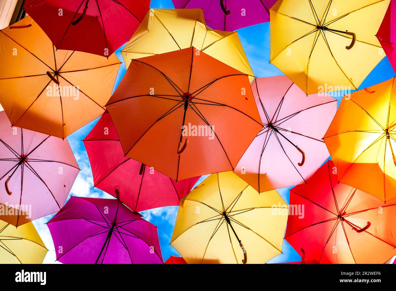 Colorful Umbrellas Hanging As Street Decoration And Sun Protection In ...