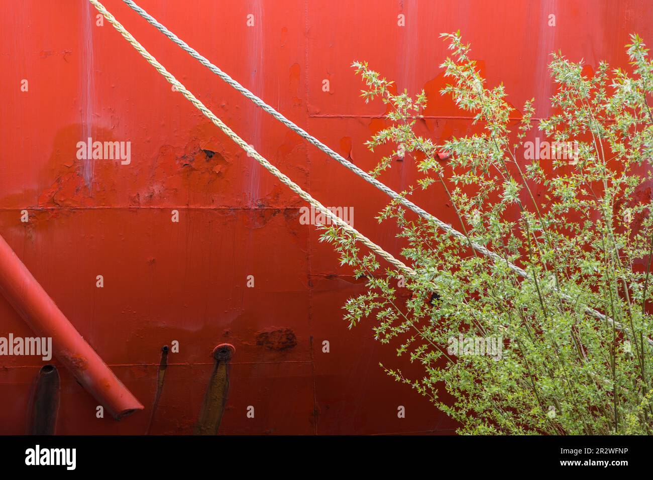 Red side of the ship, two ropes hanging, green small tree with leaves ...