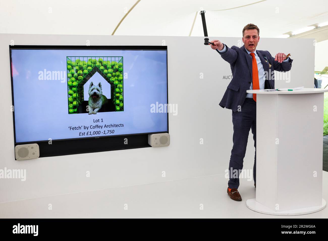 EDITORIAL USE ONLY Charlie Thomas from Bonhams actioning kennels ...