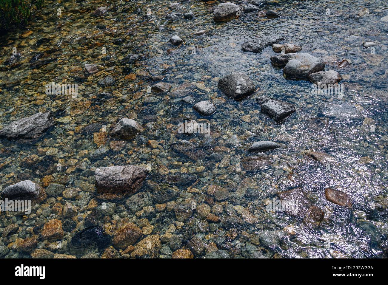 Scenic summer landscape - mountain river in a forest - crystal pure ...