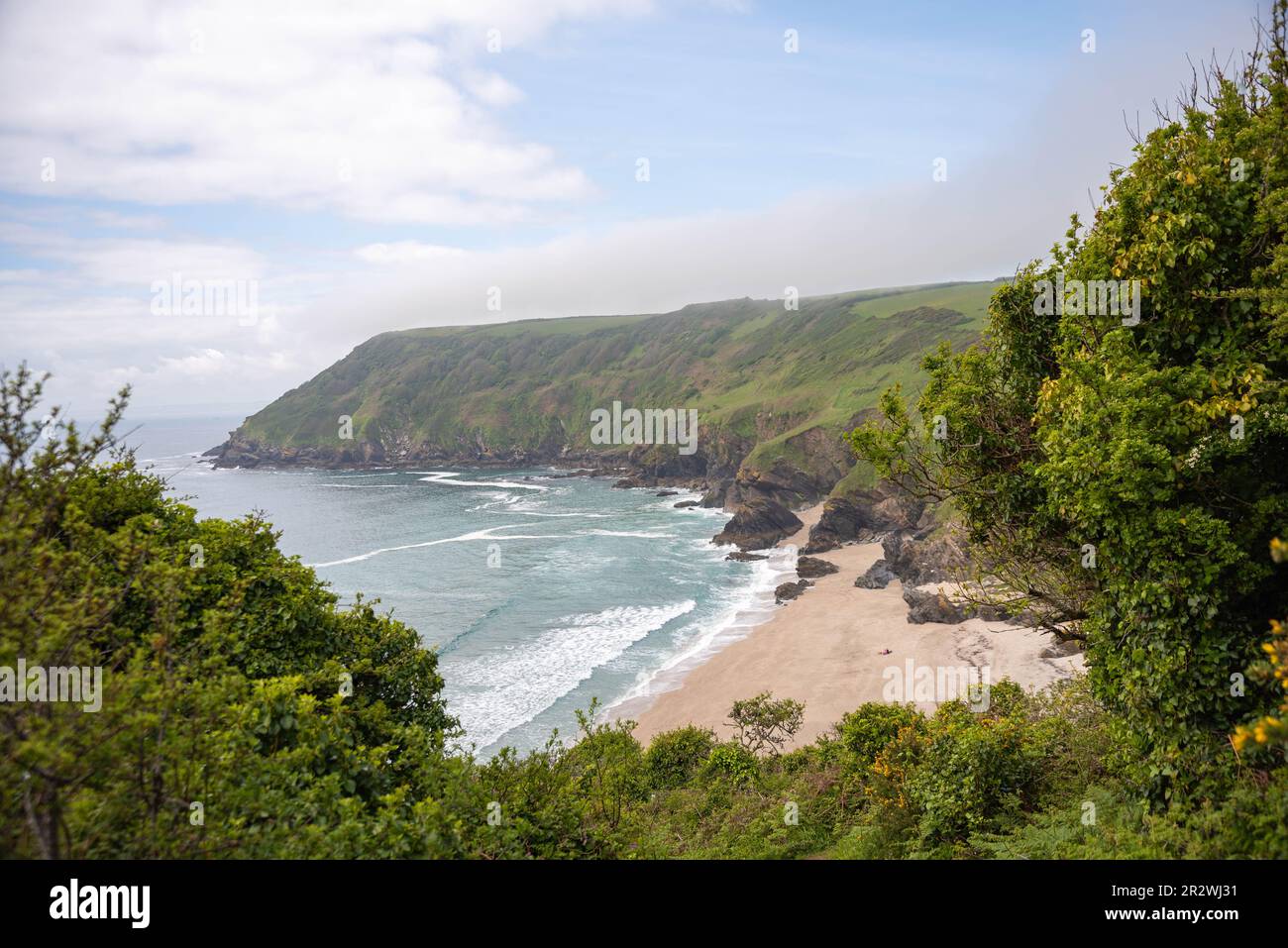 Overlooking Lantic Bay beach in Cornwall, UK Stock Photo - Alamy