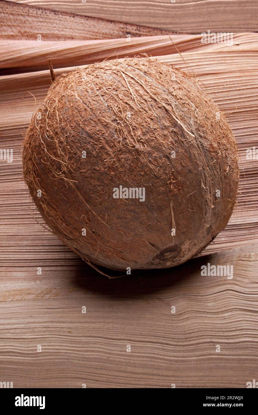 Brazilian milk fruit tree hi-res stock photography and images - Alamy