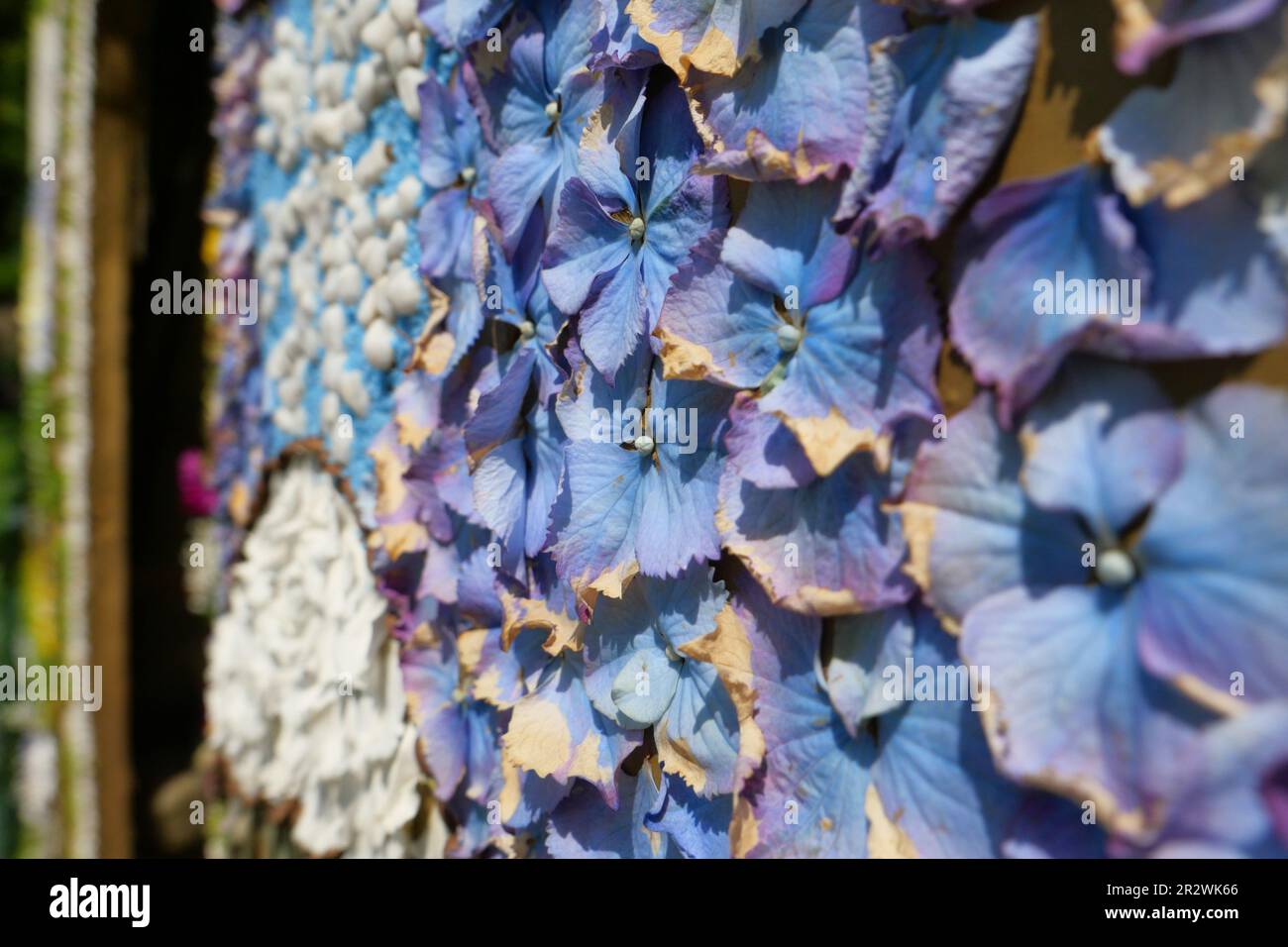Tissington Well Dressings 2023 Close-up detail of the dressing, showing ...