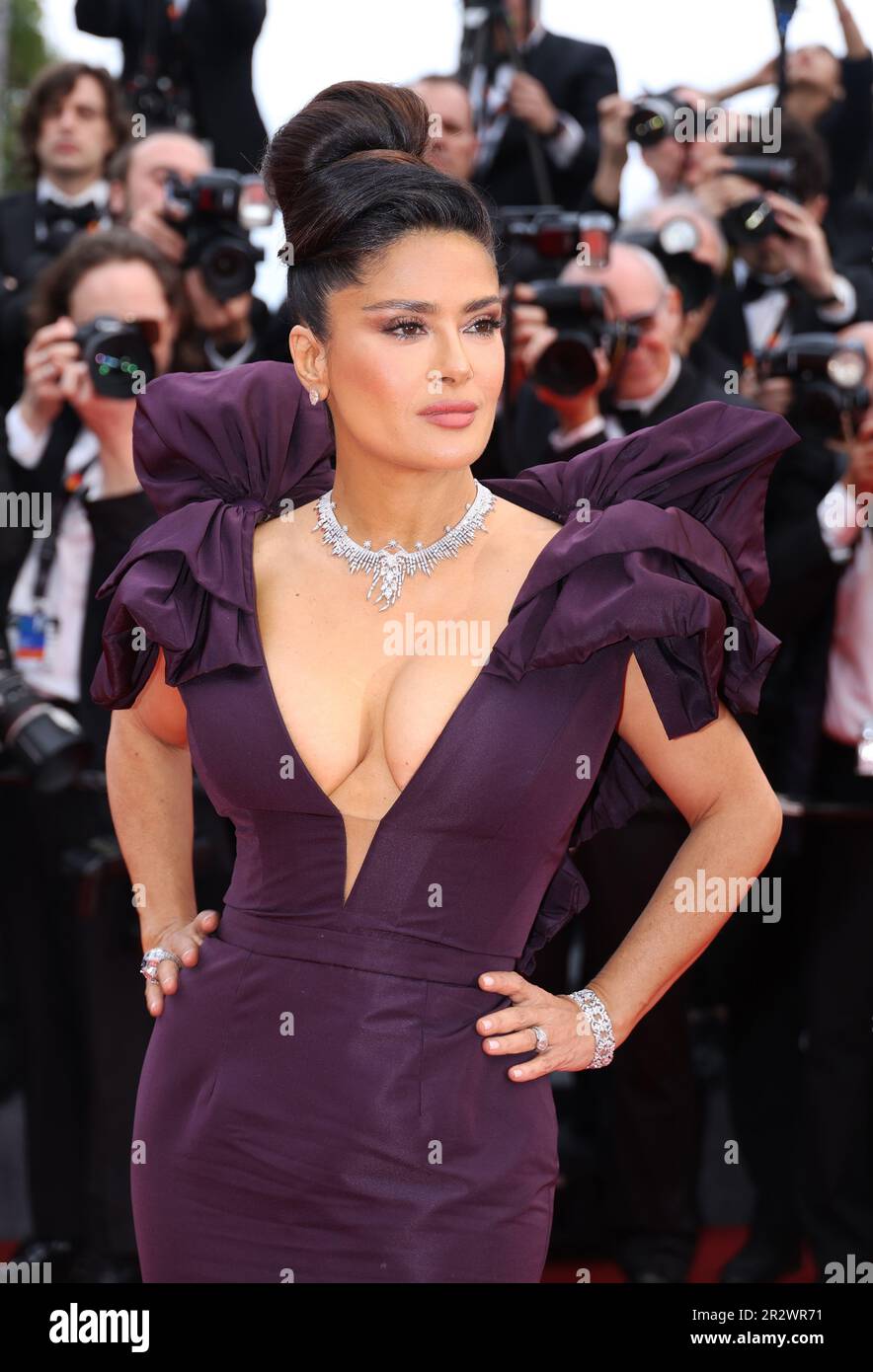 Cannes France 20th May 2023 Salma Hayek Attends The Killers Of The