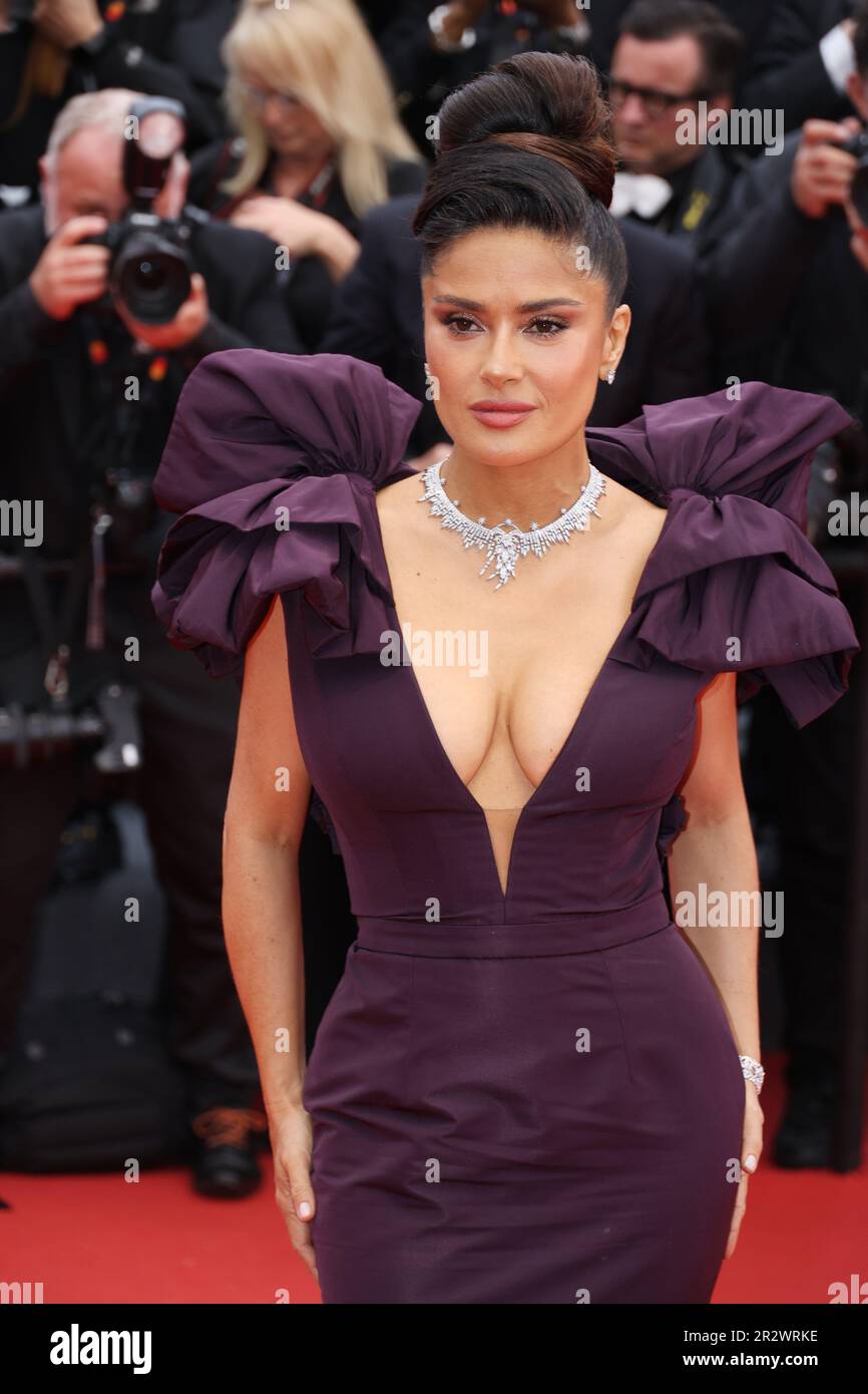 Cannes France 20th May 2023 Salma Hayek Attends The Killers Of The
