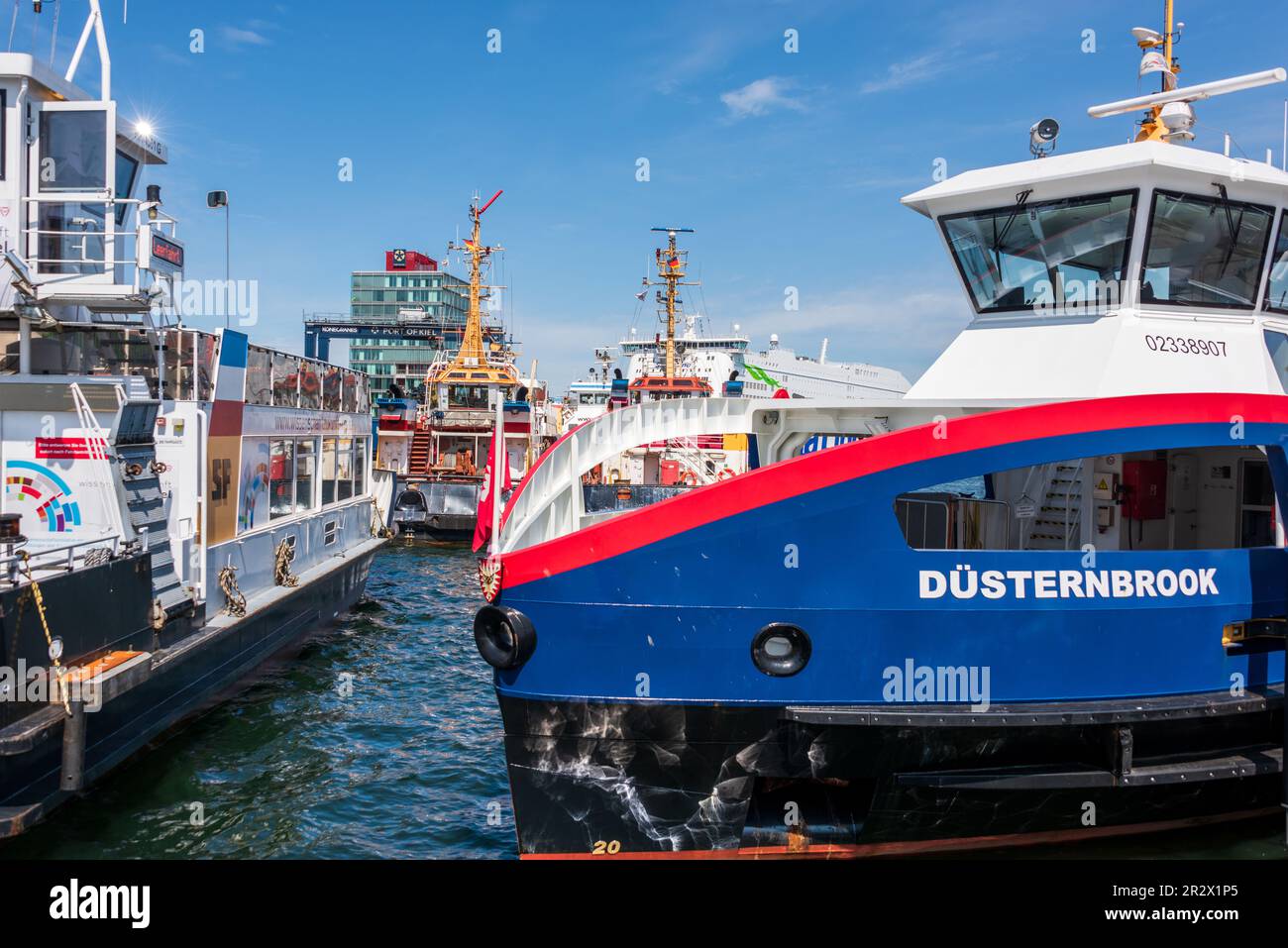 Wunderbar Fhren Kieler Frde Fotos