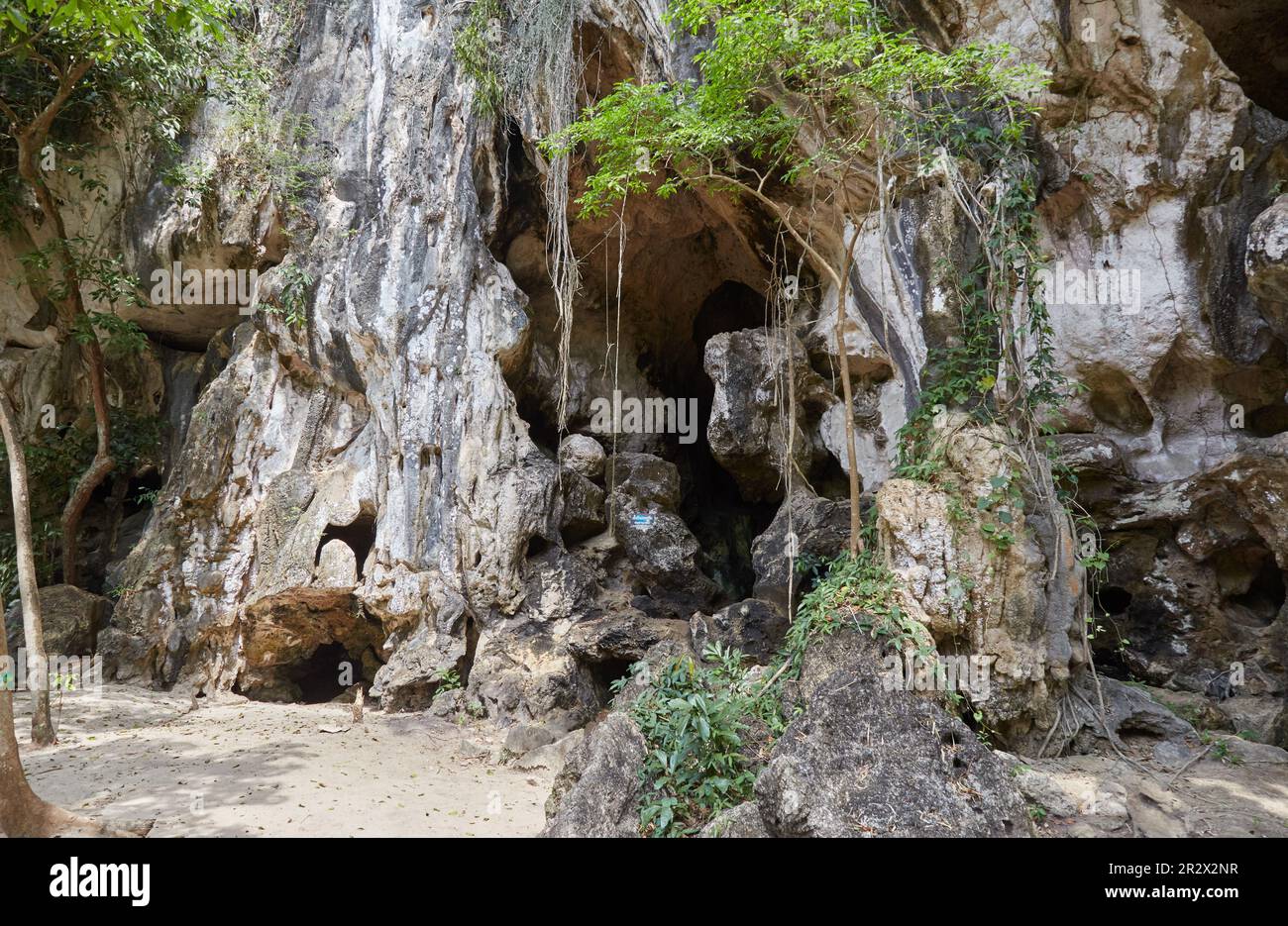 The scenic caves of Khao Kanab Nam in Krabi, Thailand Stock Photo - Alamy