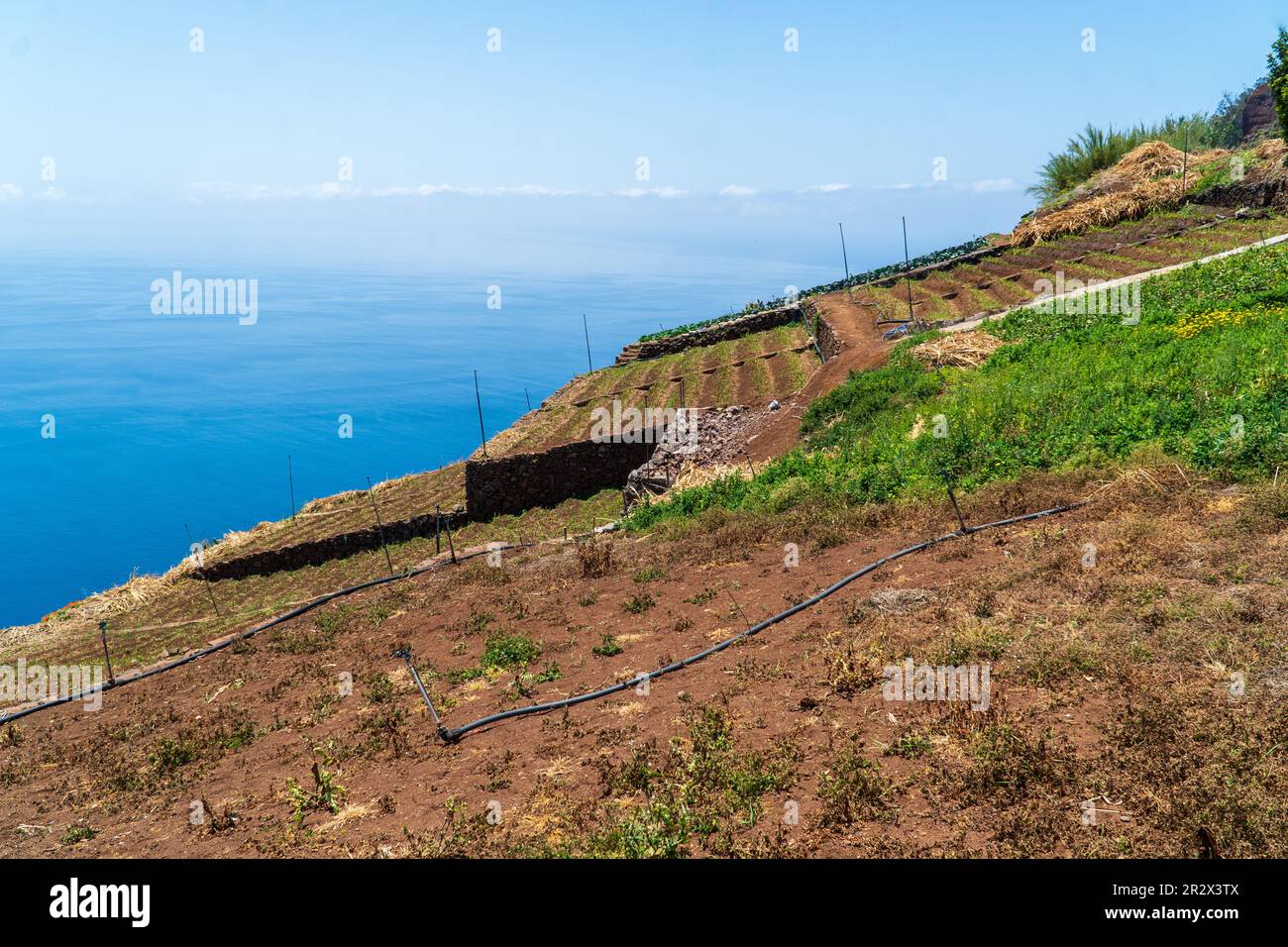 Highland vegetable field, madeira, Portugal Stock Photo - Alamy