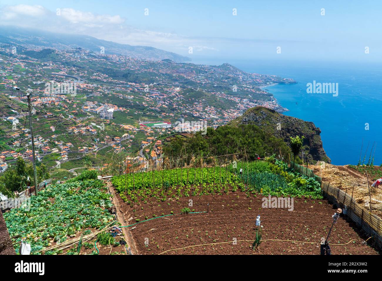 Highland vegetable field, madeira, Portugal Stock Photo - Alamy