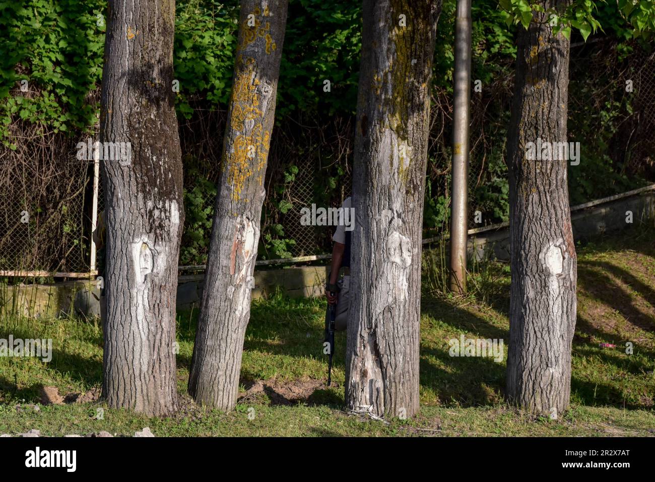 Beefed up hi-res stock photography and images - Alamy