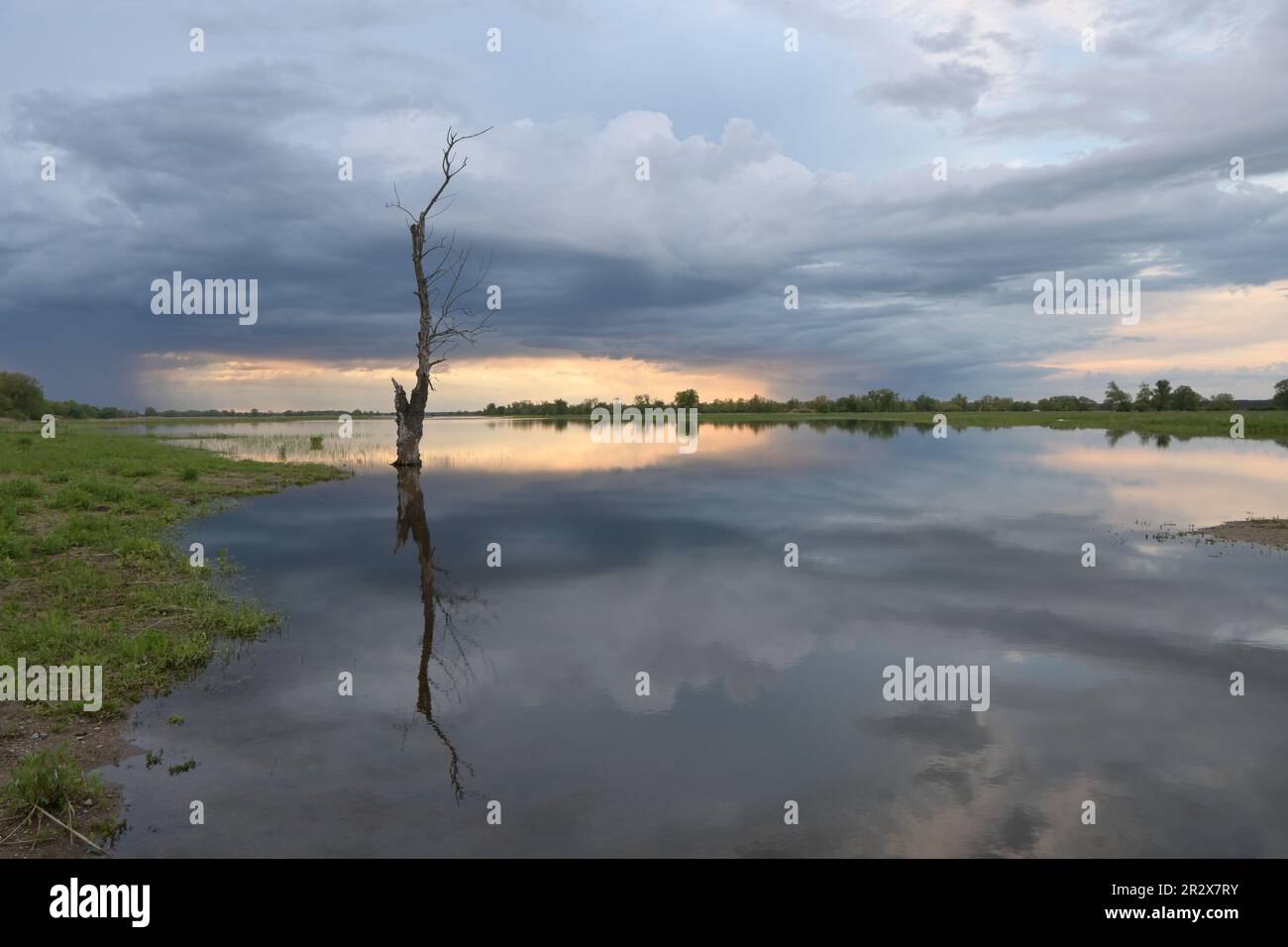 Poland border fish hi-res stock photography and images - Alamy