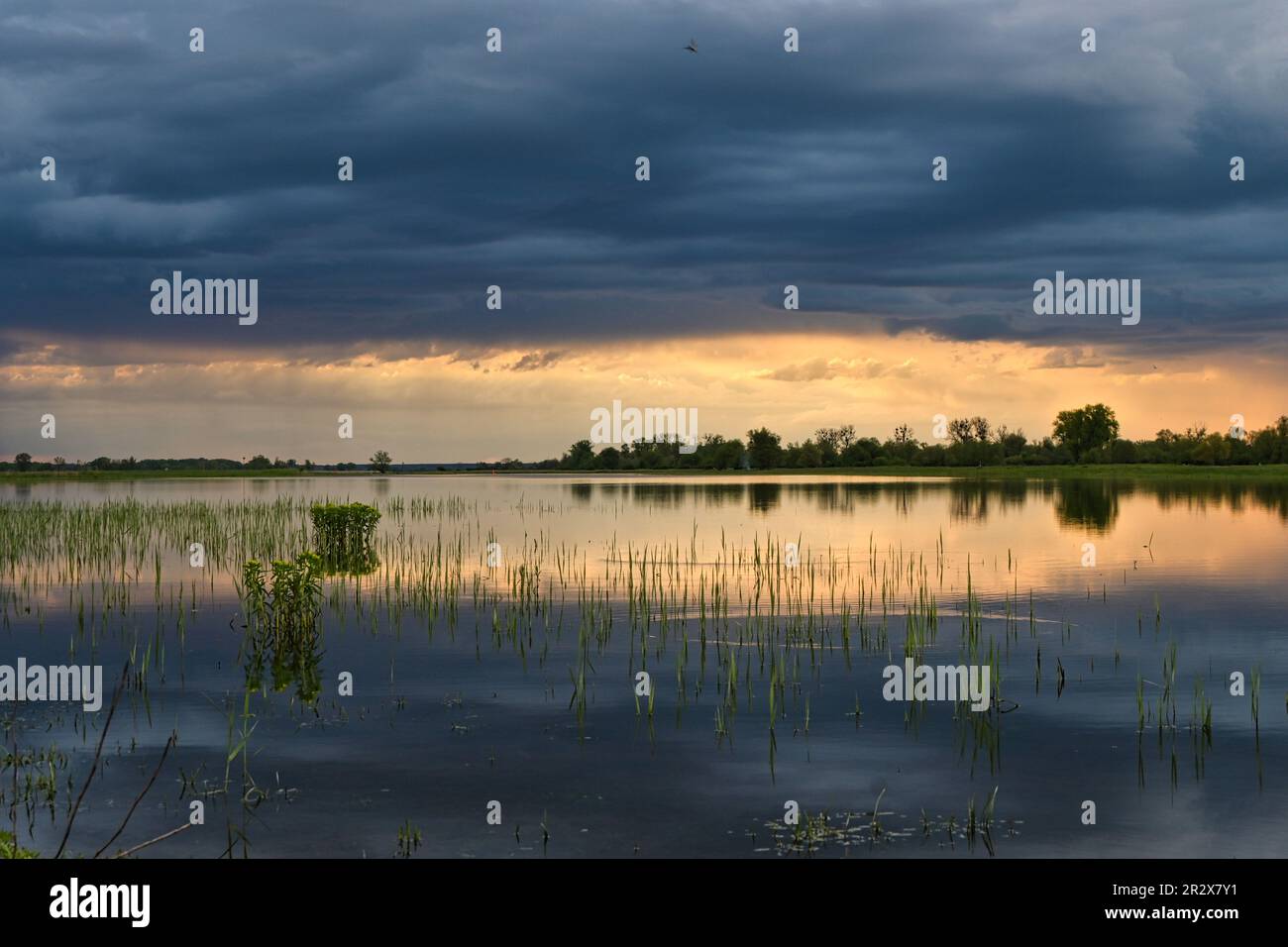 The Oder river on the border between Germany and Poland Stock Photo - Alamy