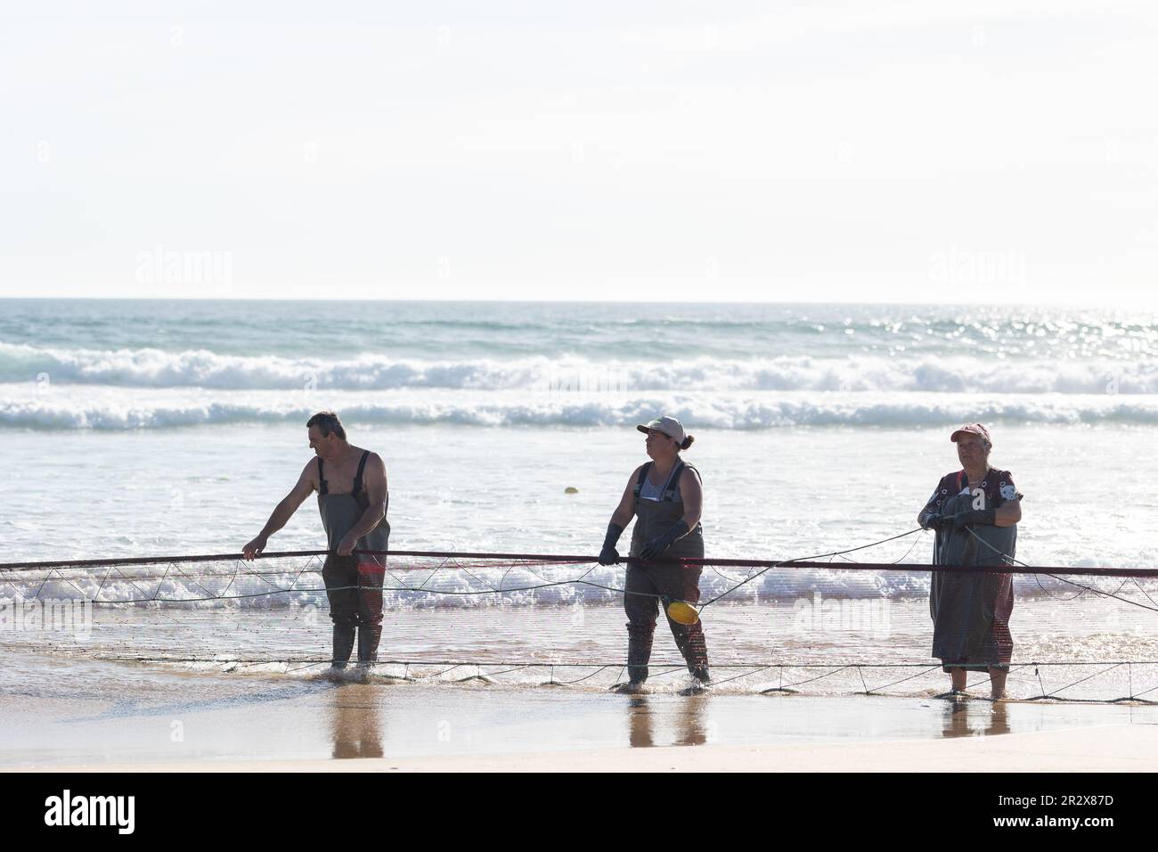 24 April 2023 Lisbon, Portugal: fishermen on the shore pull big fishing ...