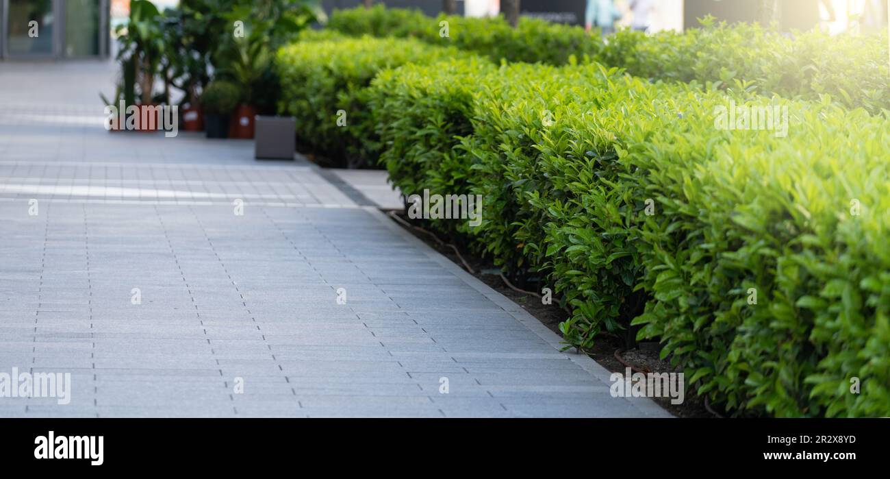 Pathway in garden high quality hi-res stock photography and images - Alamy
