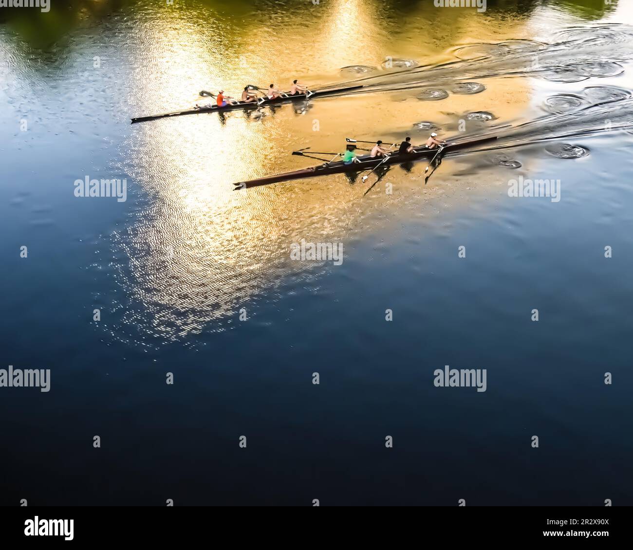 Lady bird lake austin rowing hi-res stock photography and images - Alamy