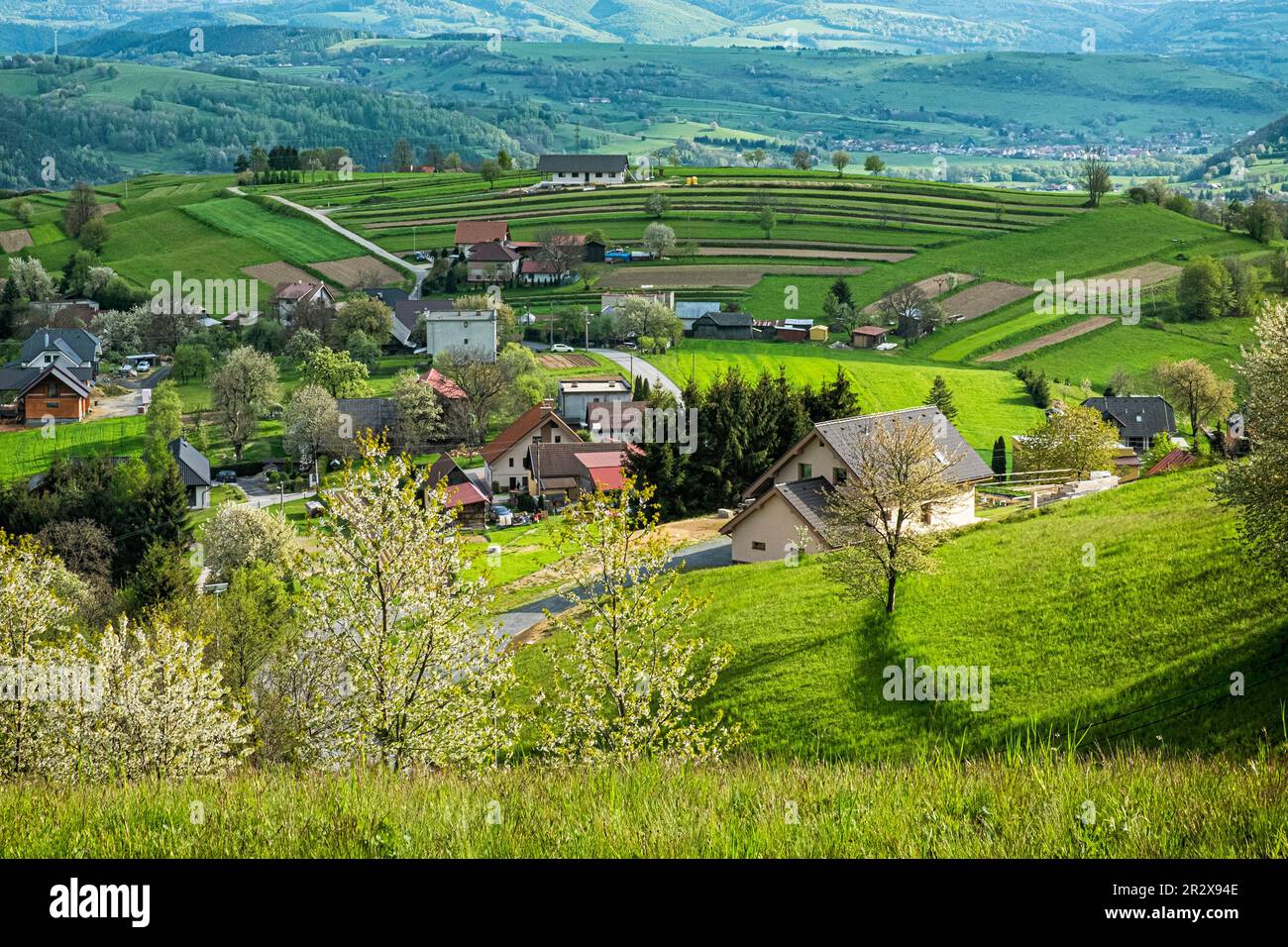 Historic agrarian landscape, Hrinovske lazy, Slovak republic. Travel ...
