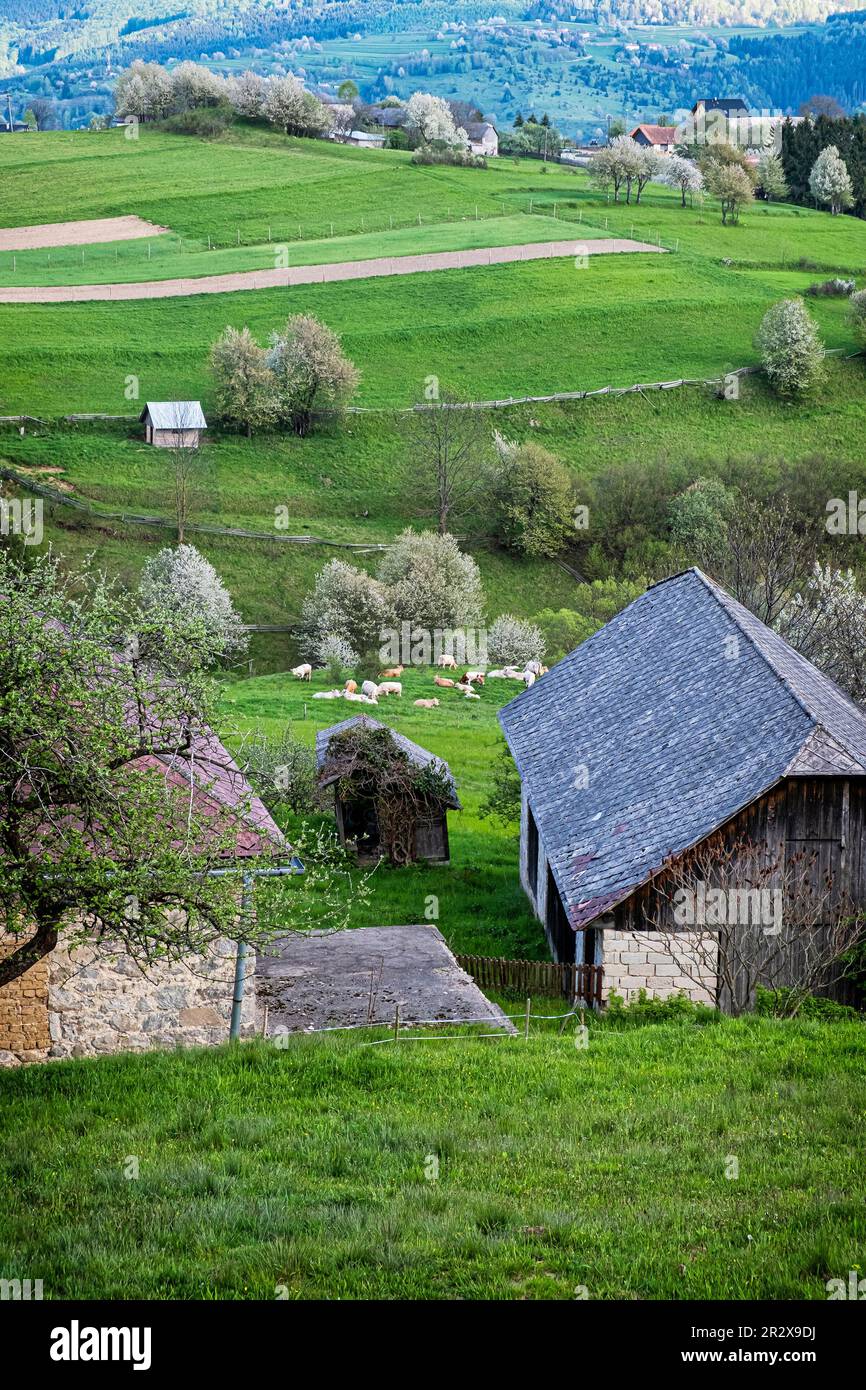 Historic agrarian landscape, Hrinovske lazy, Slovak republic. Travel ...