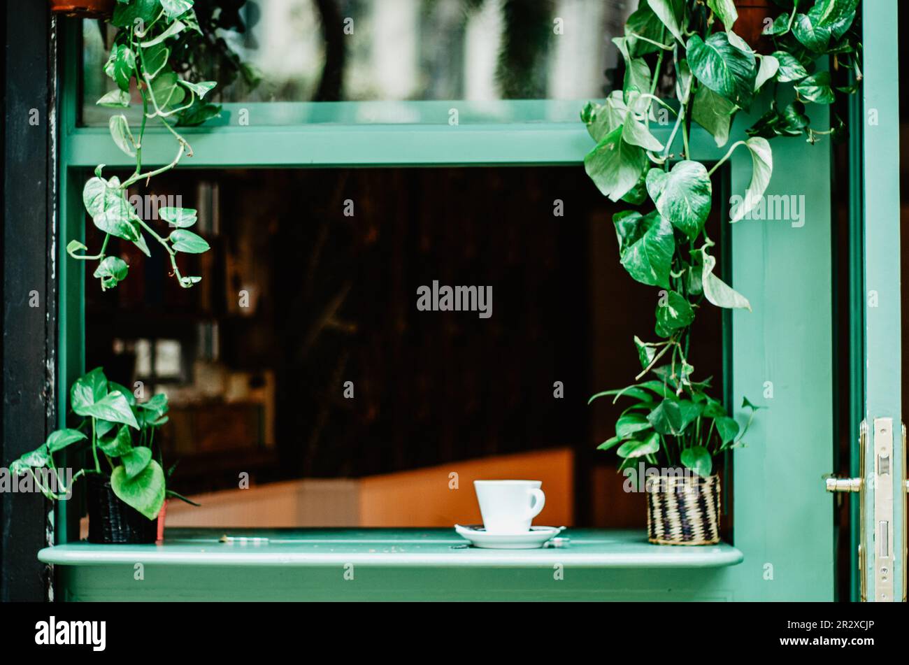 Vintage green cafe window with coffee cup and green plants Stock Photo ...