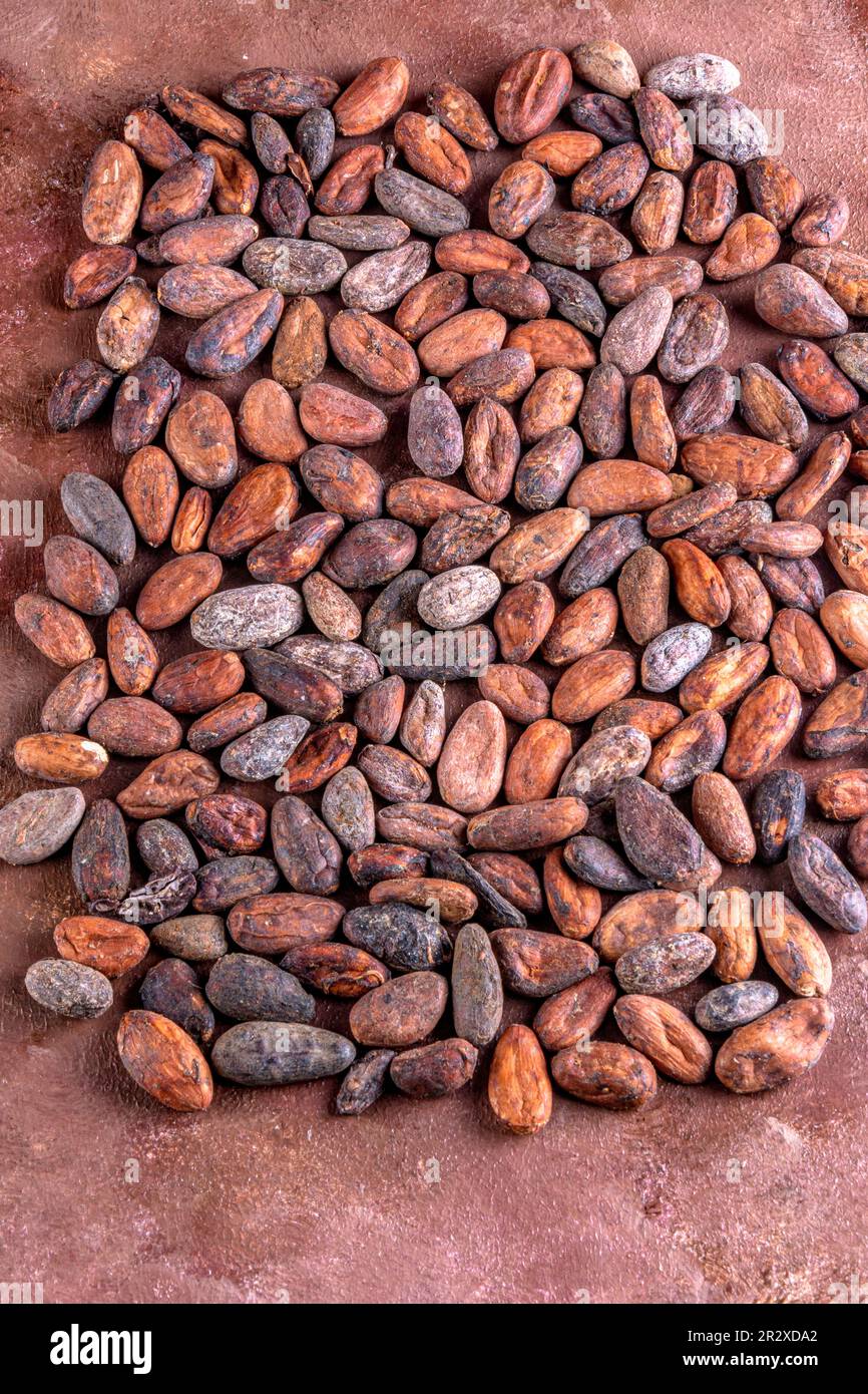 Toasted cocoa beans spread on a brown background. Studio photograph ...