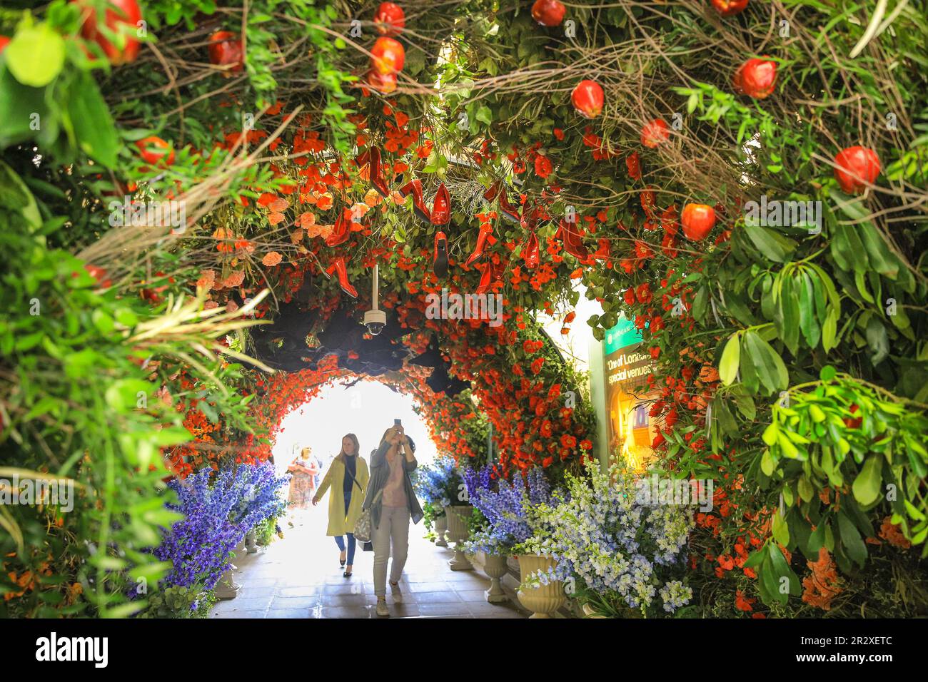 London, UK, 21st May 2023. The floral tunnel at the entrance to Duke of ...