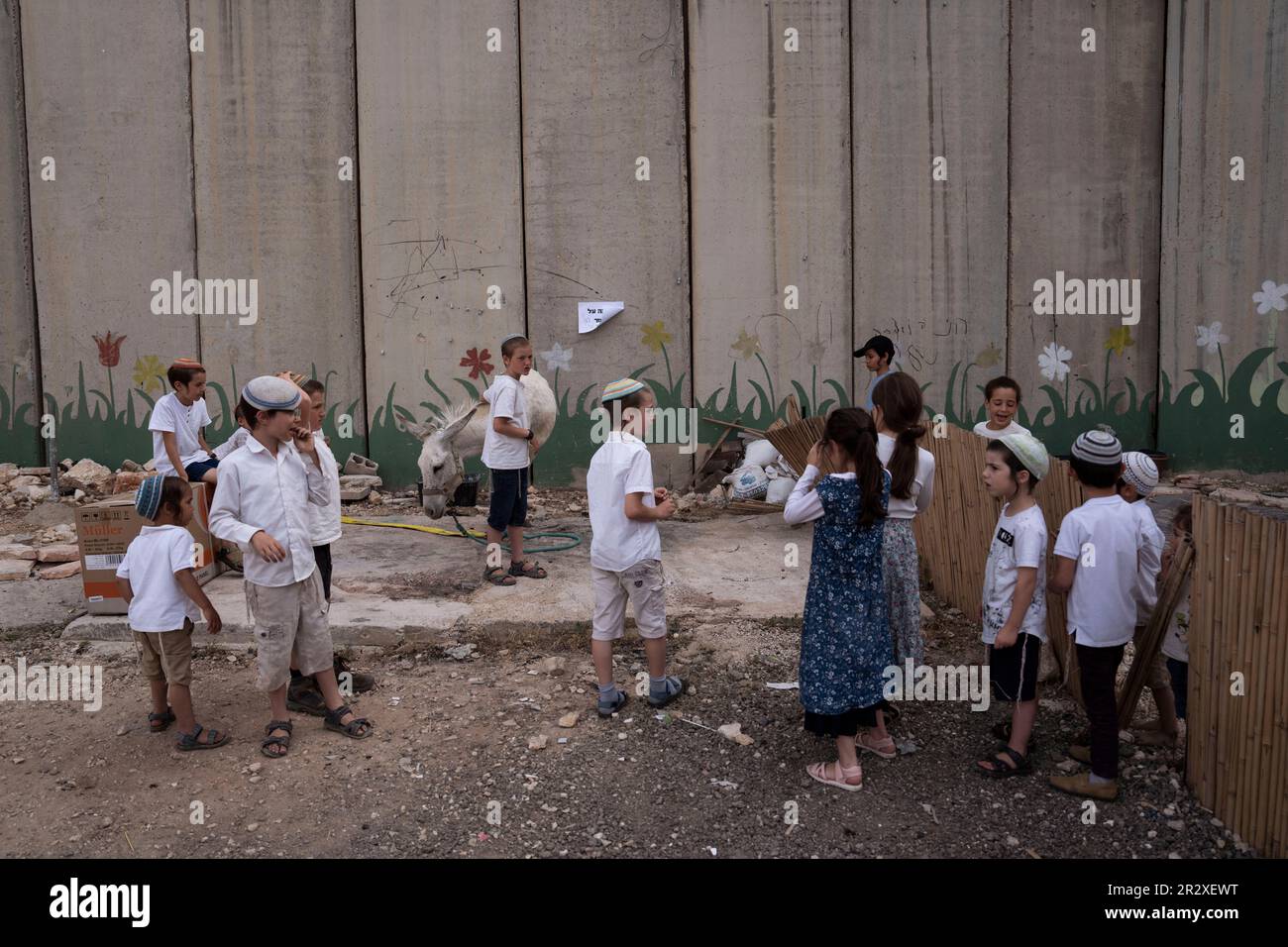 Religious Israeli Jews participate in a festival outside the ...