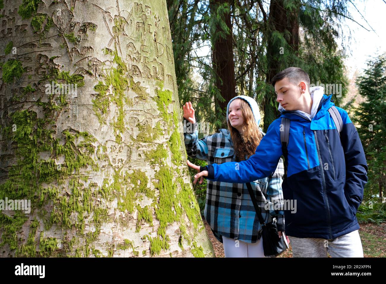 touch tree with hand moss greenery boys teenage girls walk in park with ...