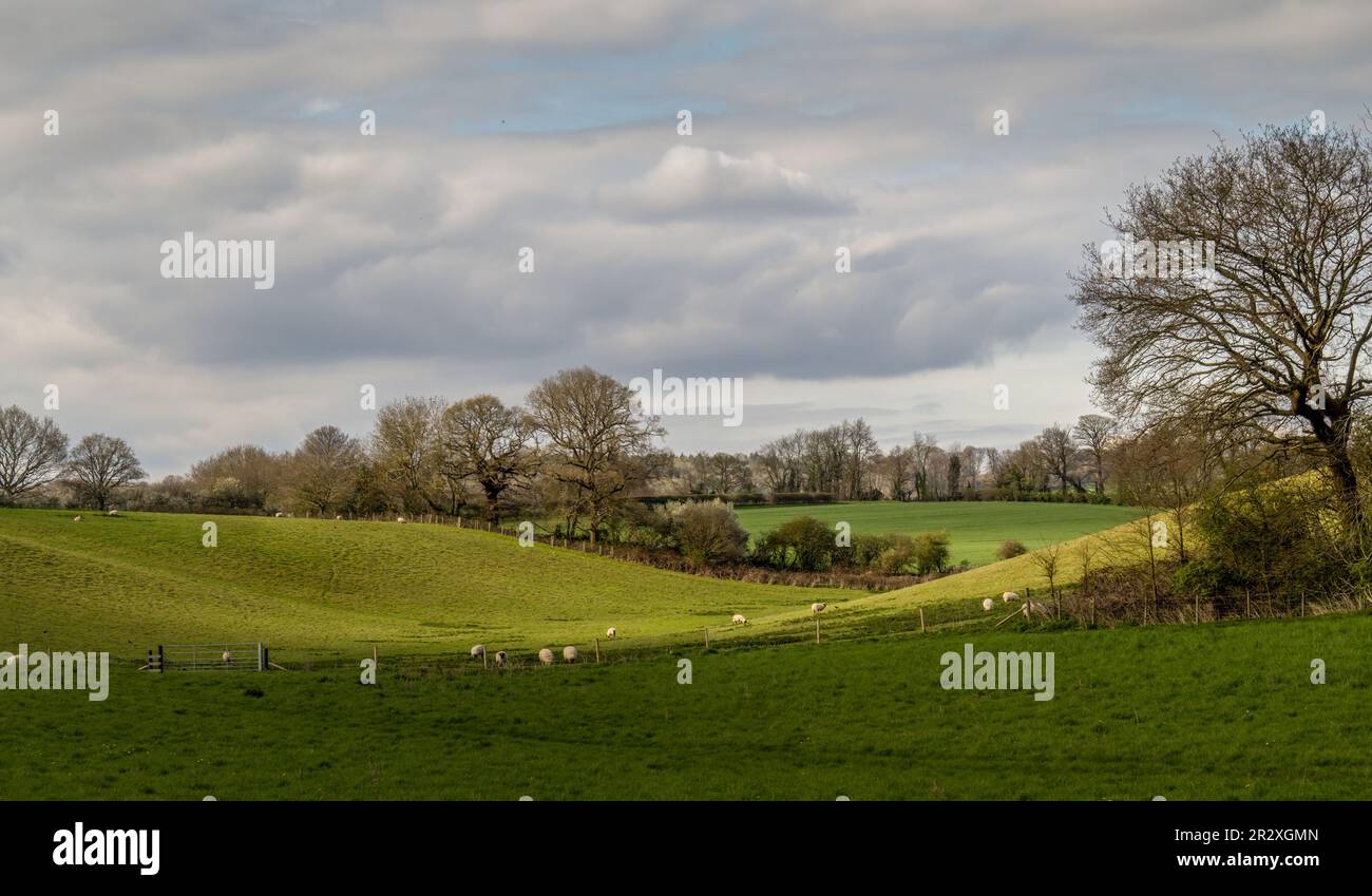 Rural Suffolk landscape, England, UK Stock Photo - Alamy