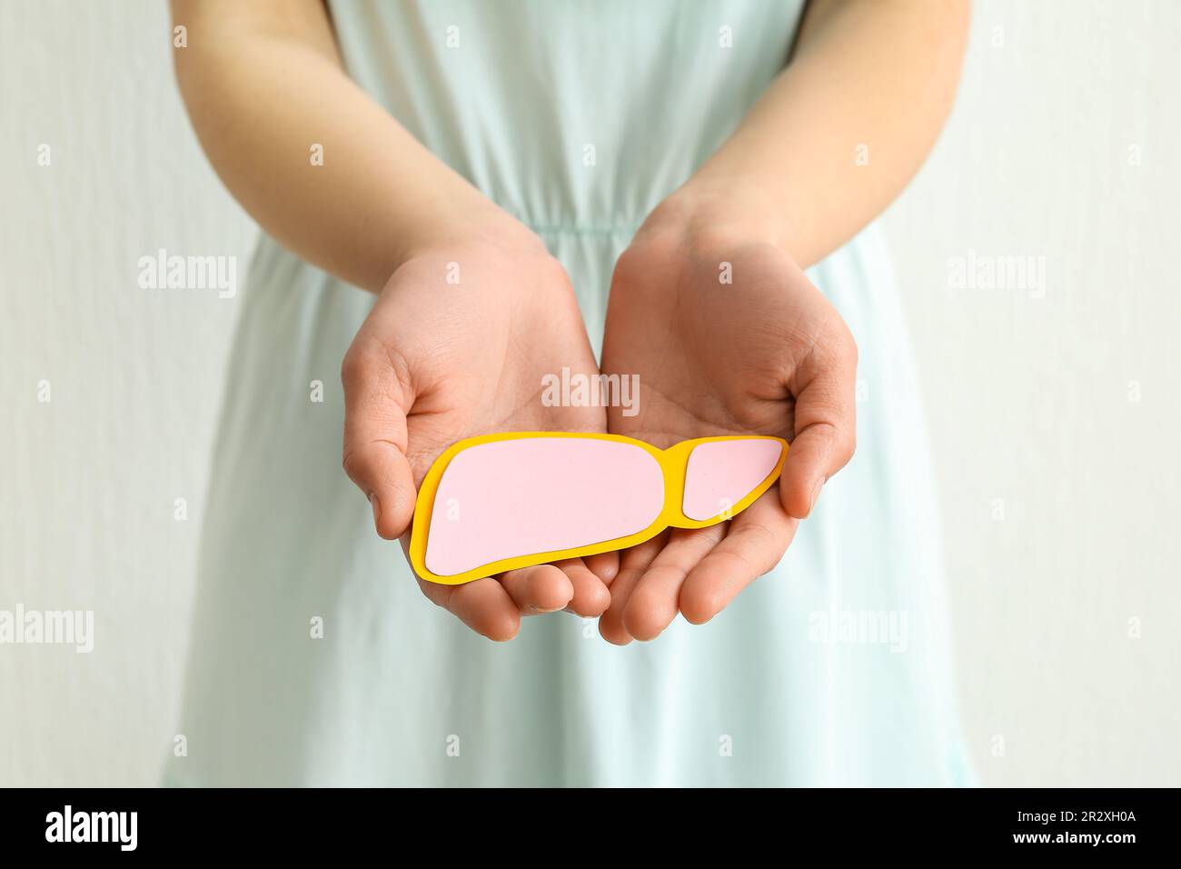 Woman holding pink liver on white background Stock Photo - Alamy