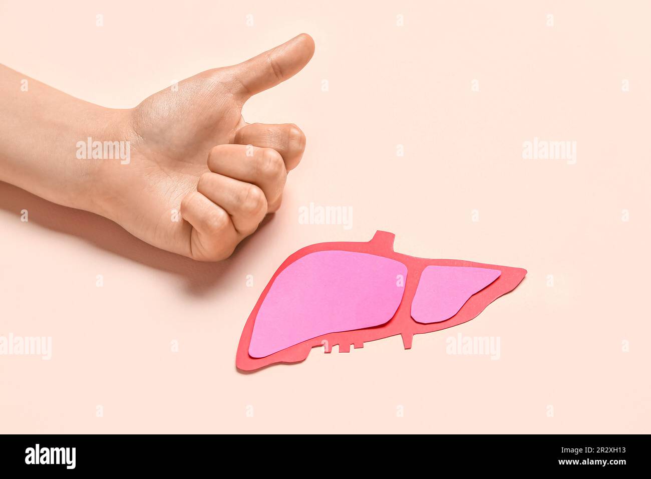 Woman showing thumb-up sign and pink paper liver on beige background ...