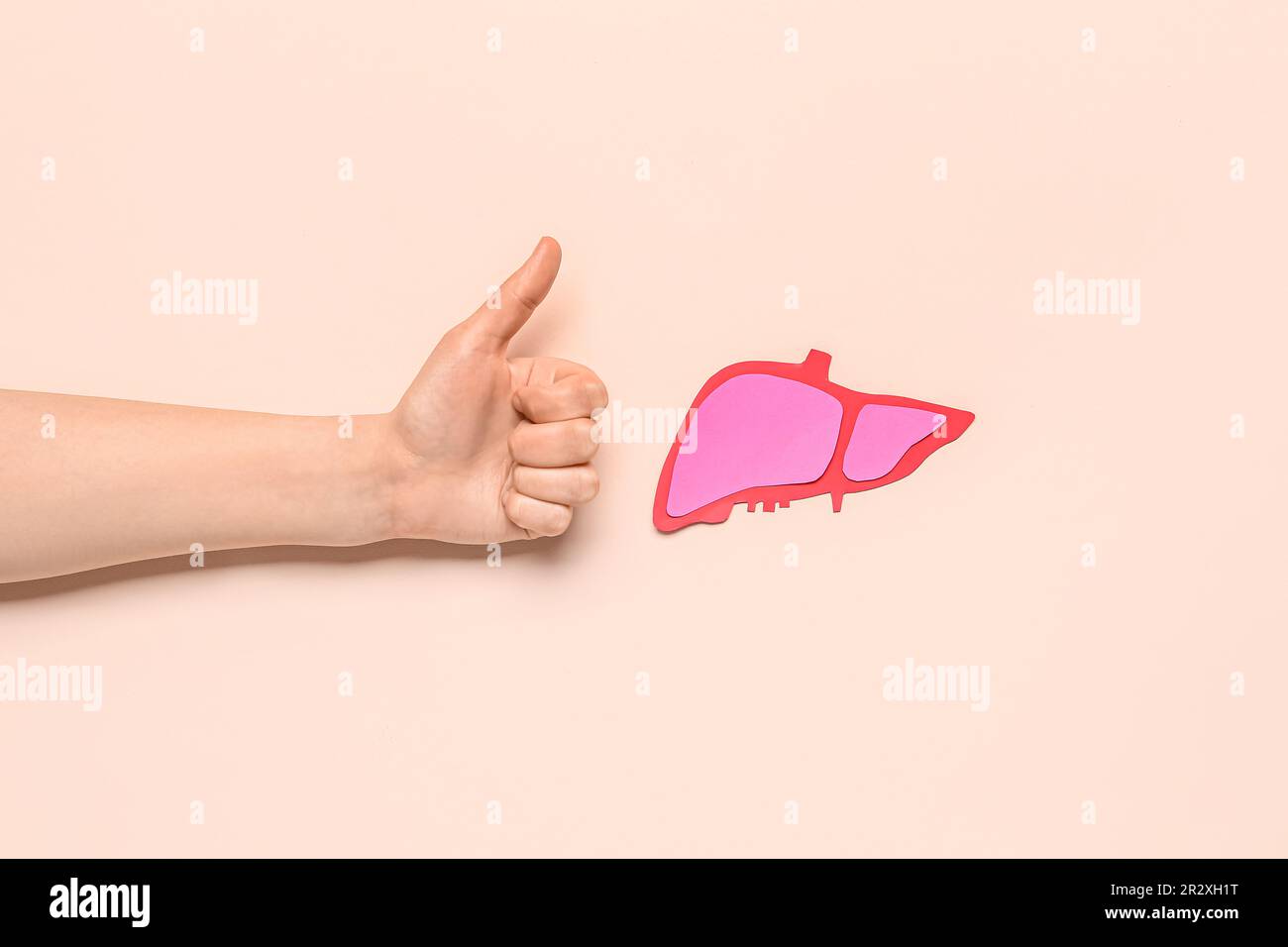 Woman showing thumb-up sign and pink paper liver on beige background ...