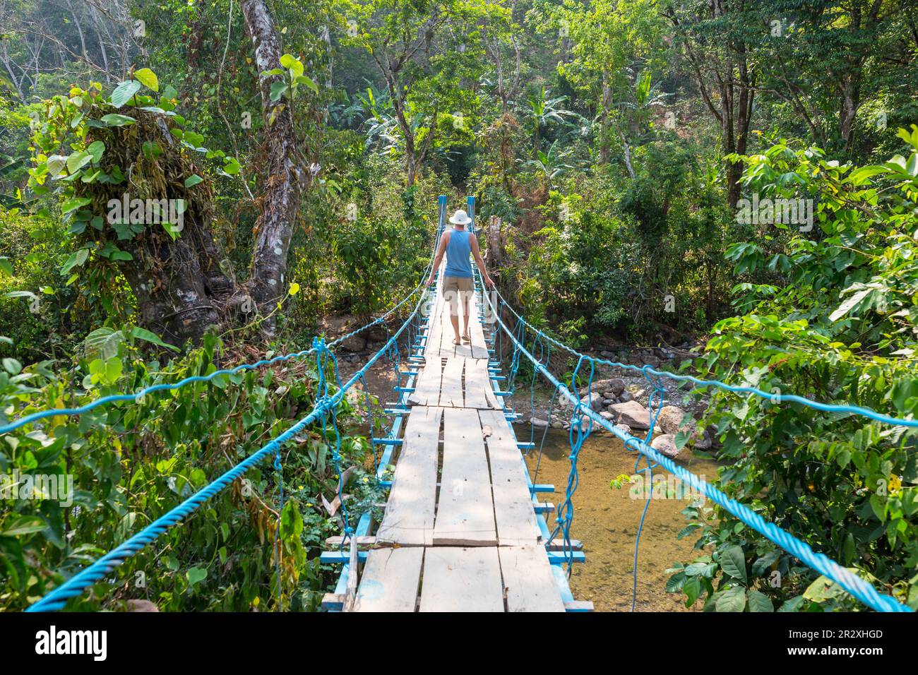 Tourist on the suspension bridge in tropical jungle, Honduras Stock ...