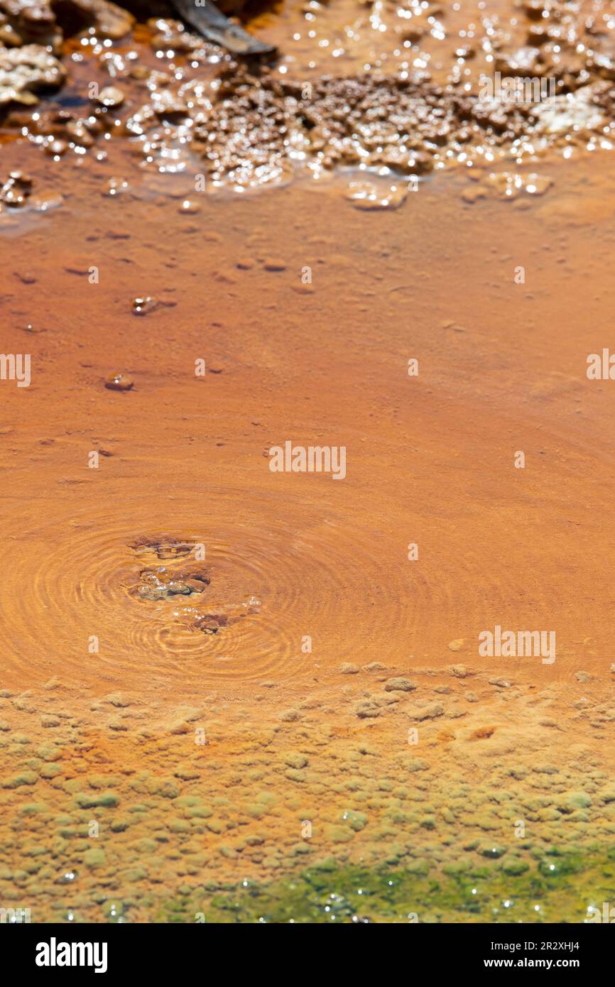 Papua New Guinea, New Britain Island, Rabaul. Hot Springs, detail of ...