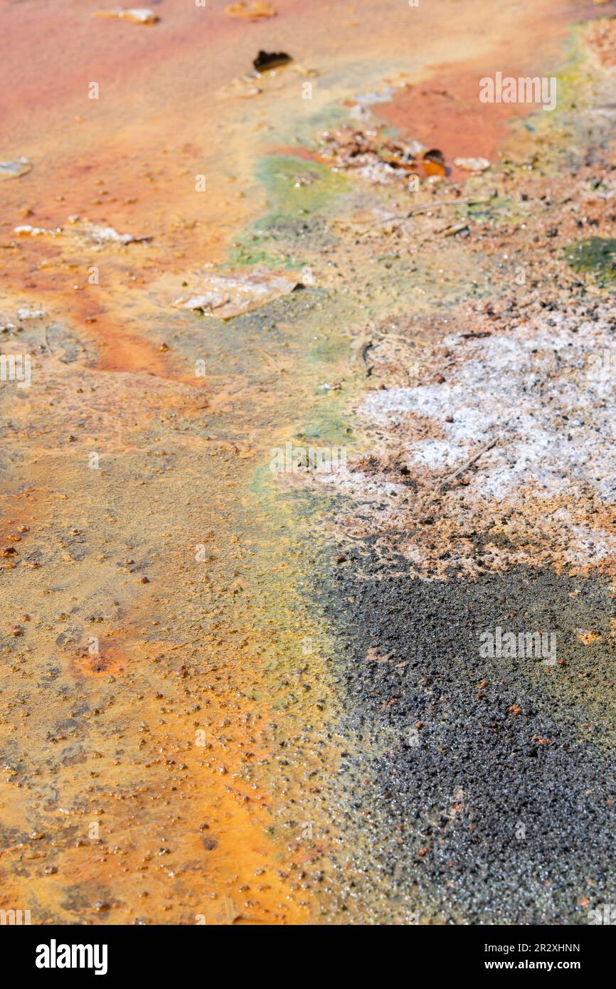 Papua New Guinea, New Britain Island, Rabaul. Hot Springs, detail of ...