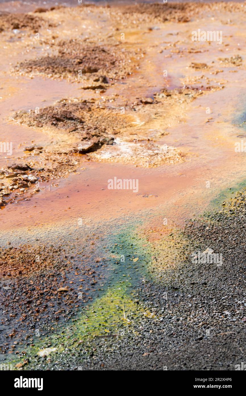 Papua New Guinea, New Britain Island, Rabaul. Hot Springs, detail of ...