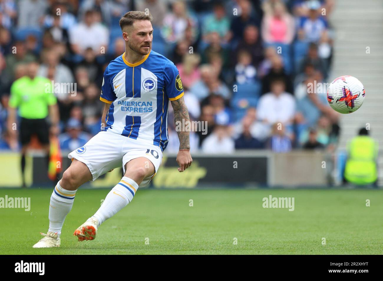 Alexis Mac Allister in action for Brighton & Hove Albion at the AMEX Stadium Stock Photo - Alamy