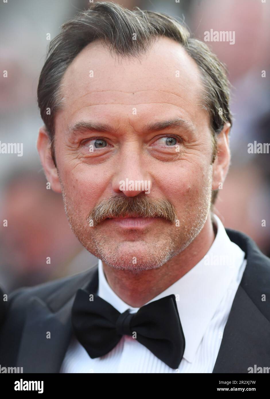 Cannes, France. 21st May, 2023. British actor Jude Law attends the ...