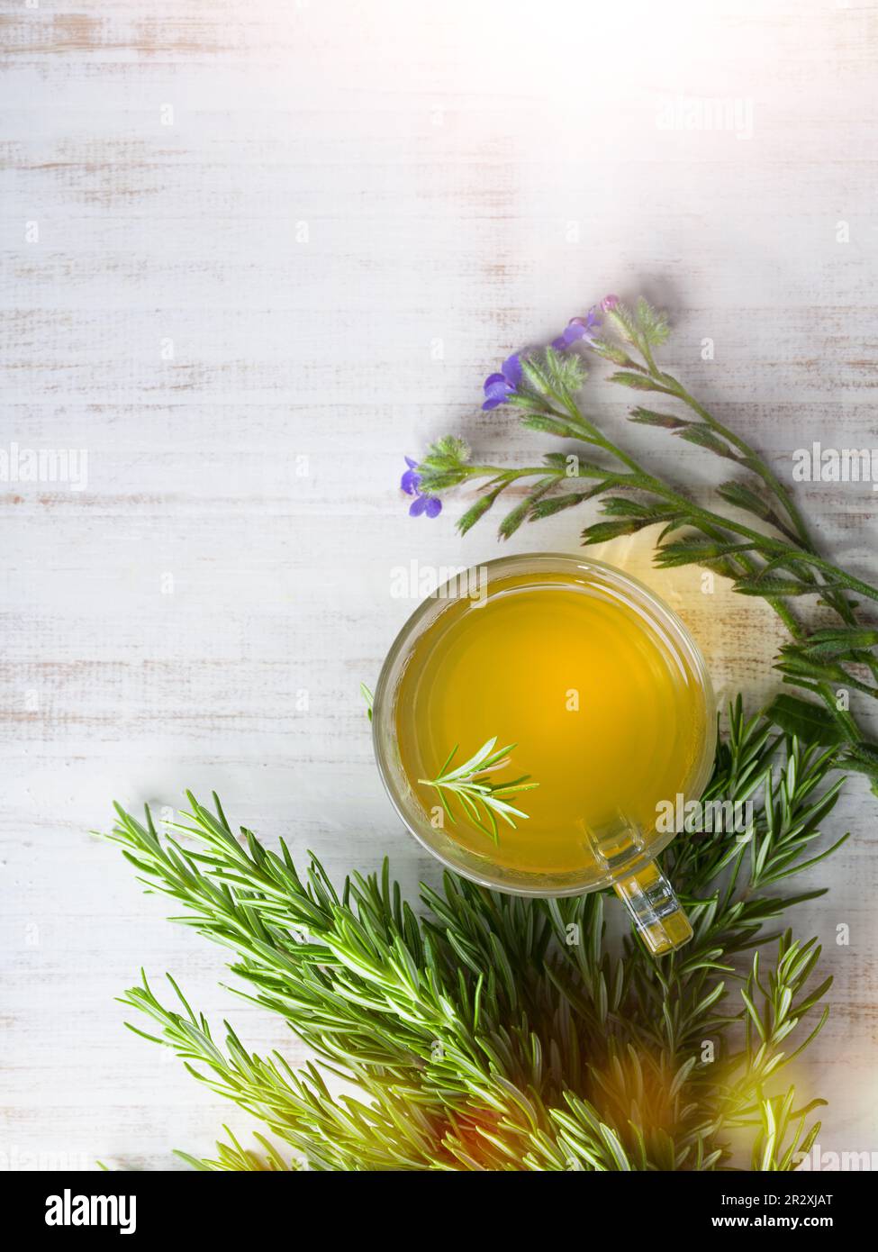 Herbal teas. Rosemary tea. Salvia rosmarinus plant. Herbal hot drinks ...