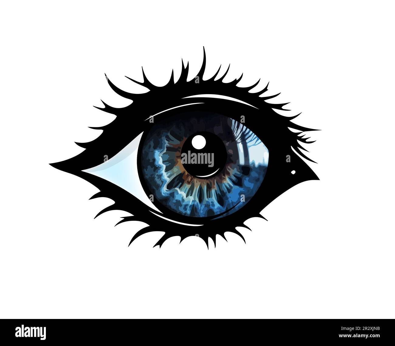 Realistic human eyeball. eye object. Vector illustration Stock Vector ...